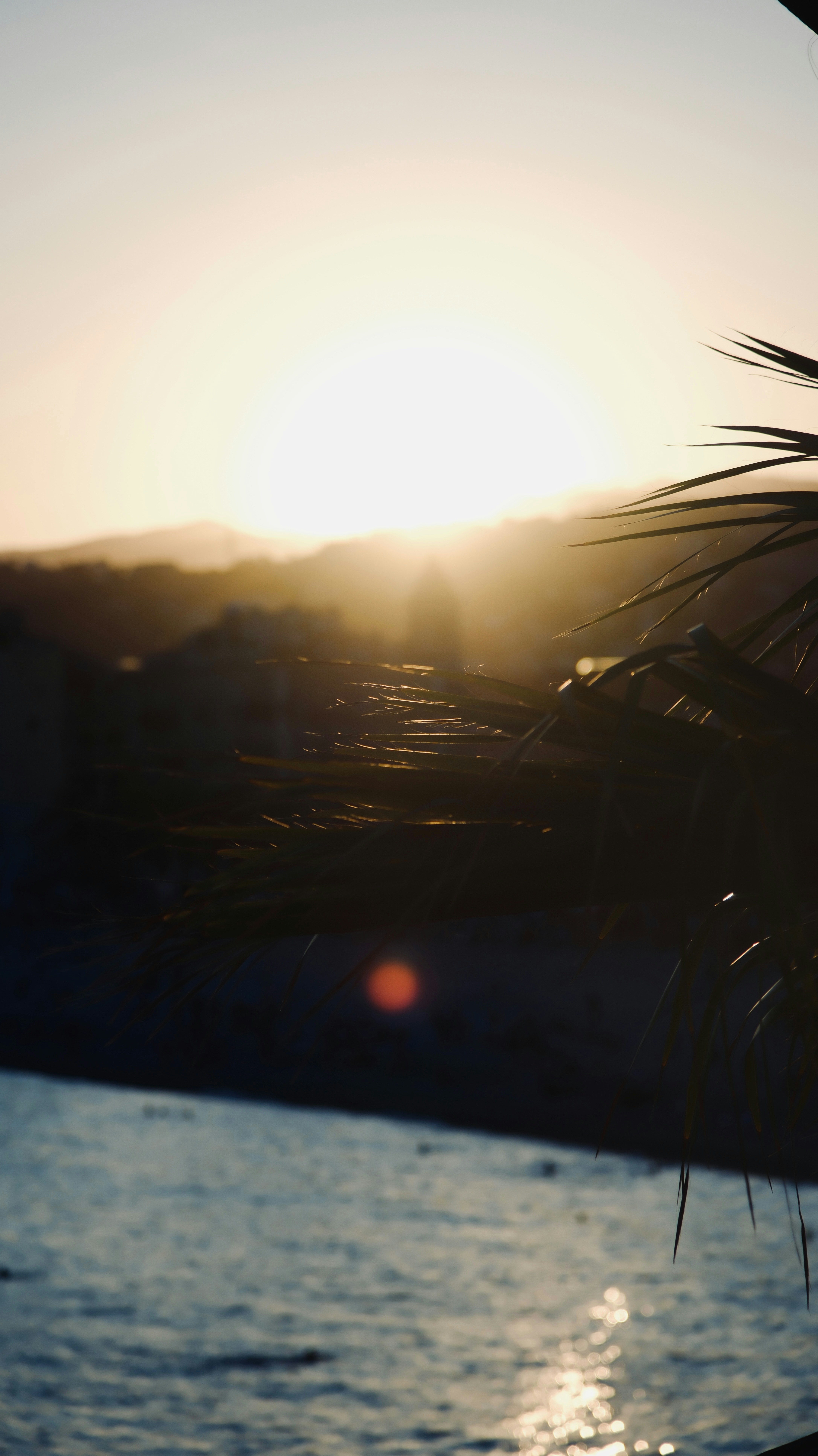 Sunlit Horizon Over Quiet Waters