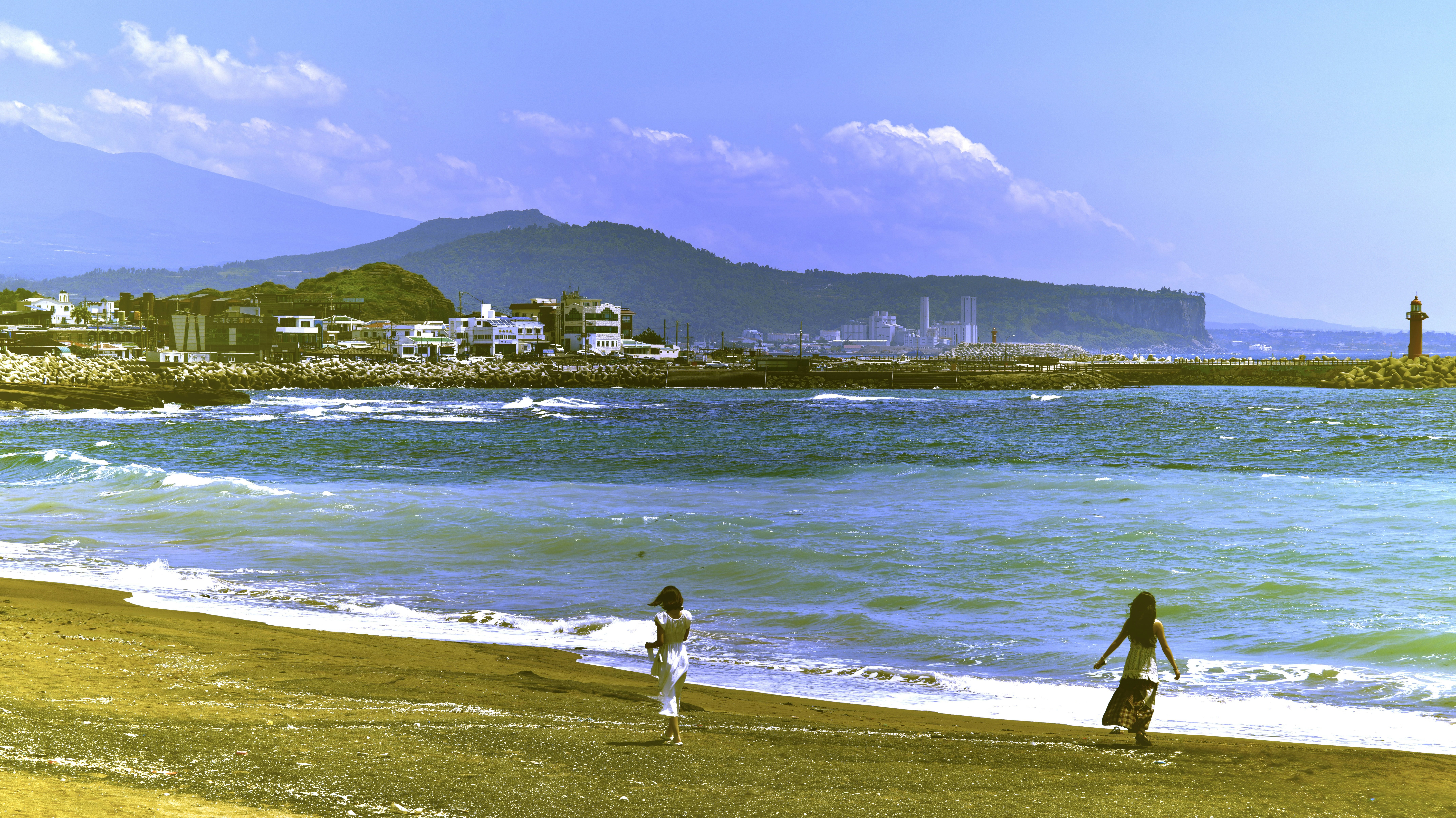 Shoreline Walkers at Distant Harbor