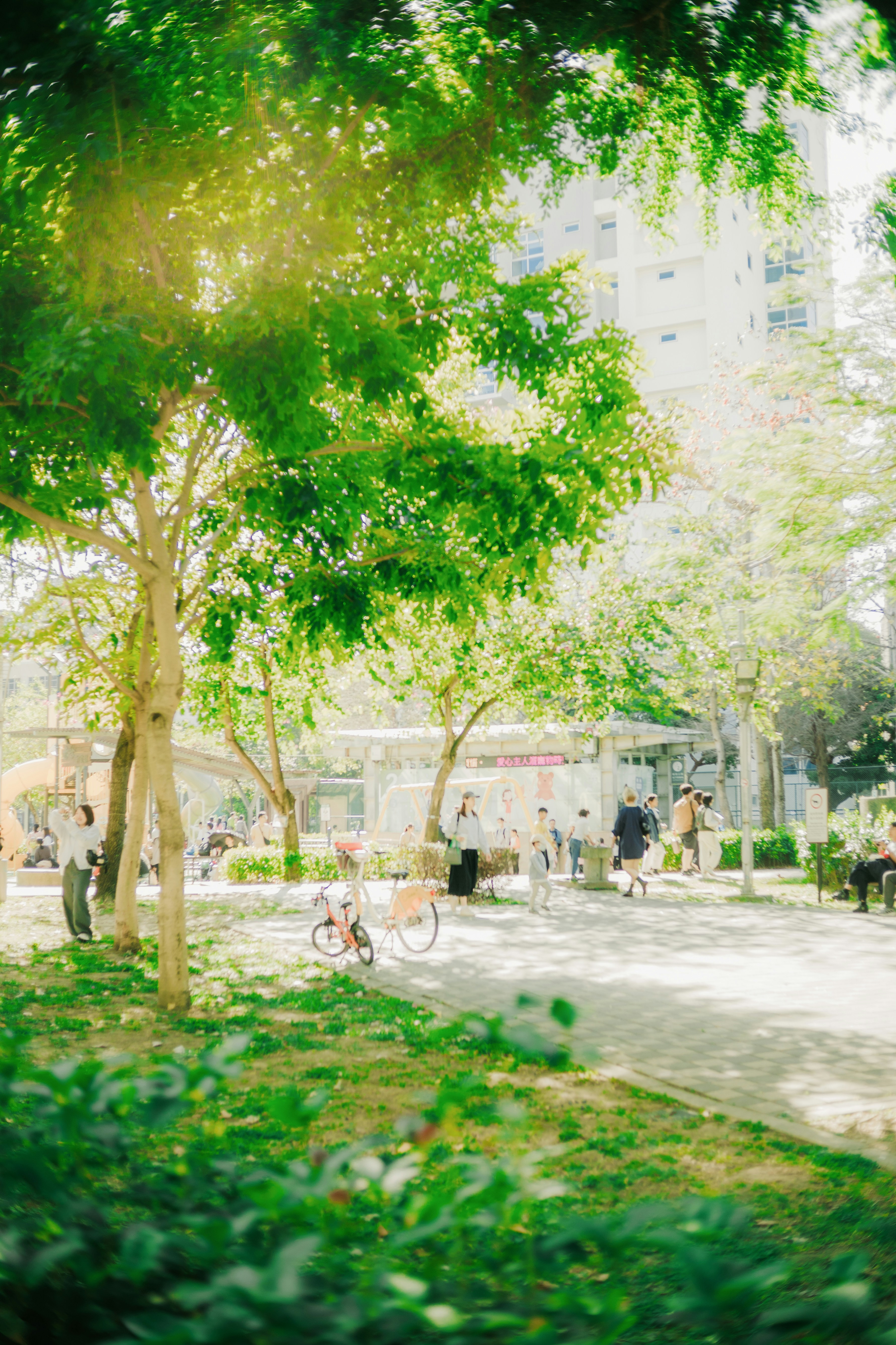 Sunlit Urban Park: Motion, Color, and Blur