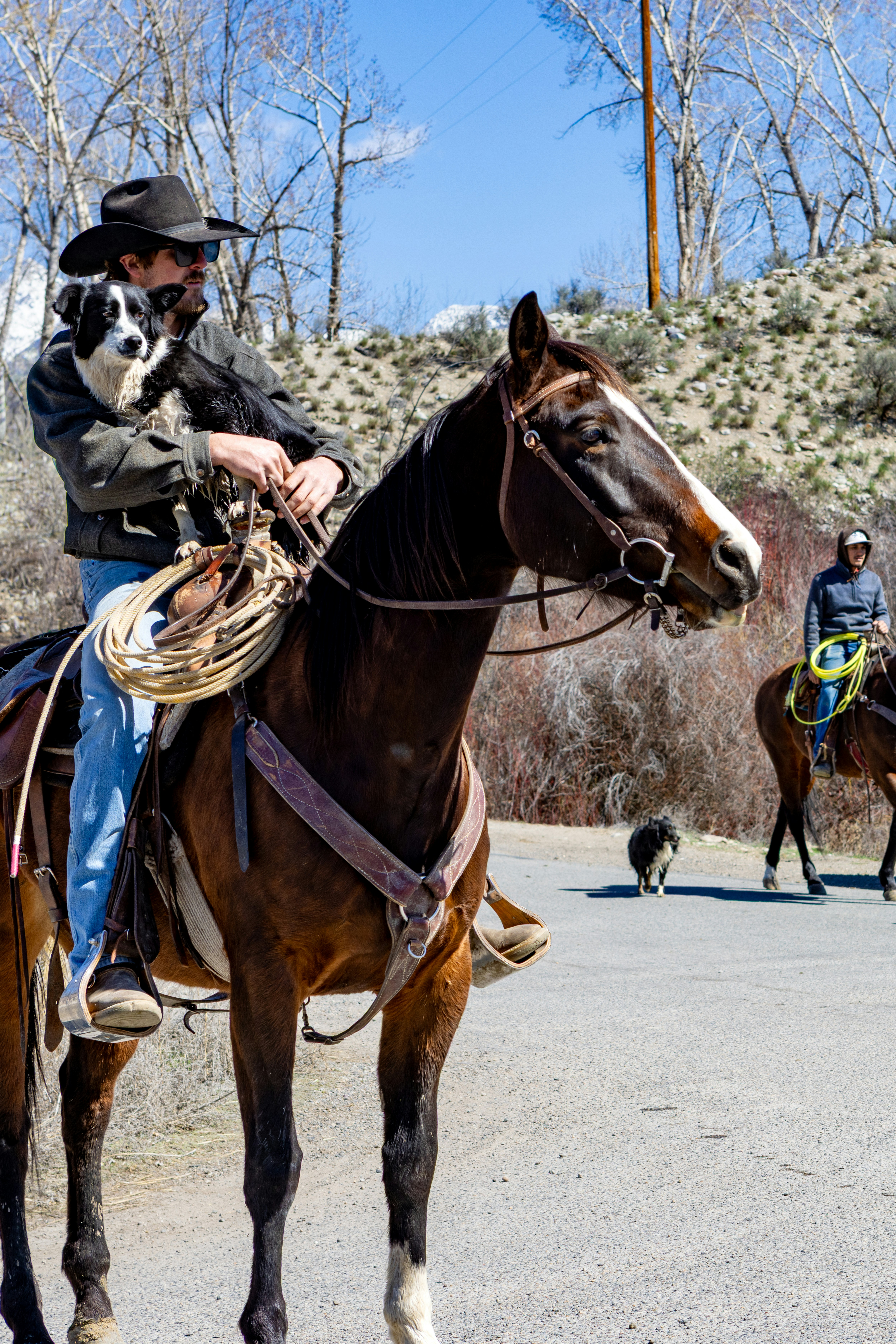 Rider, Horse, and Working Dog: Morning Lasso Lesson Outdoors