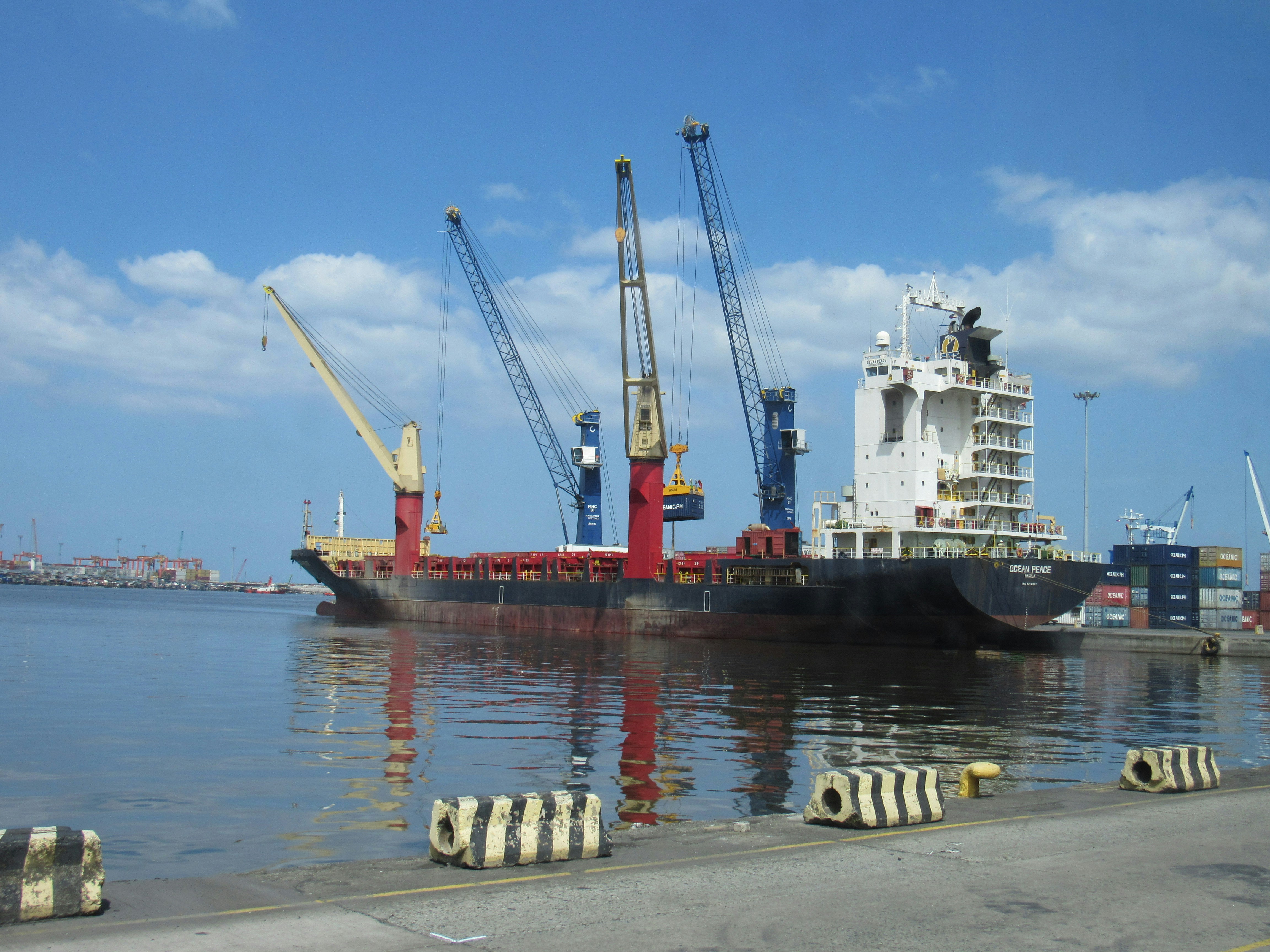Portside Giants: A Harbor of Cranes and Cargo