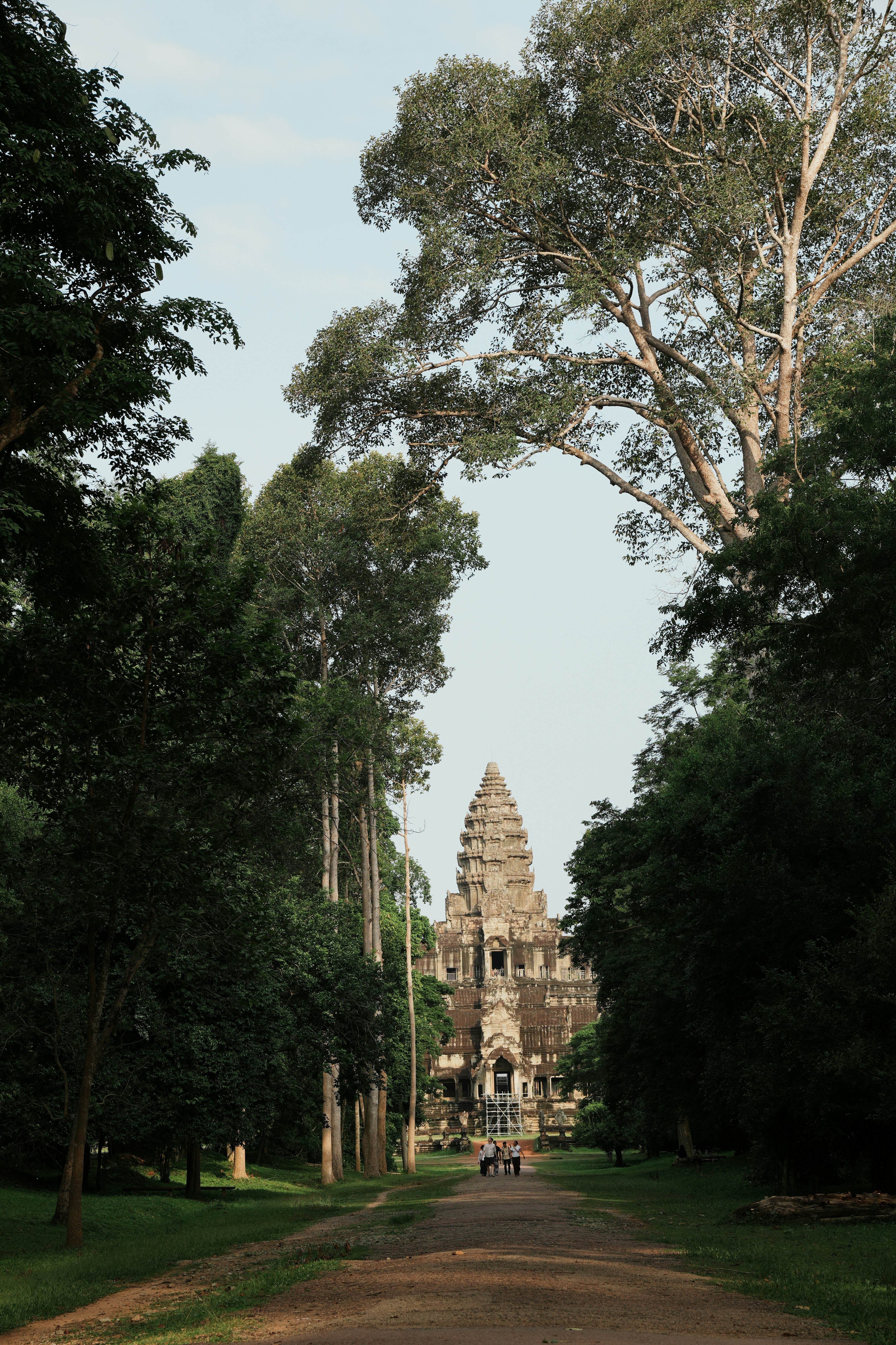 Path to the Stone Tower: A Forest-lined Approach to Angkor Wat