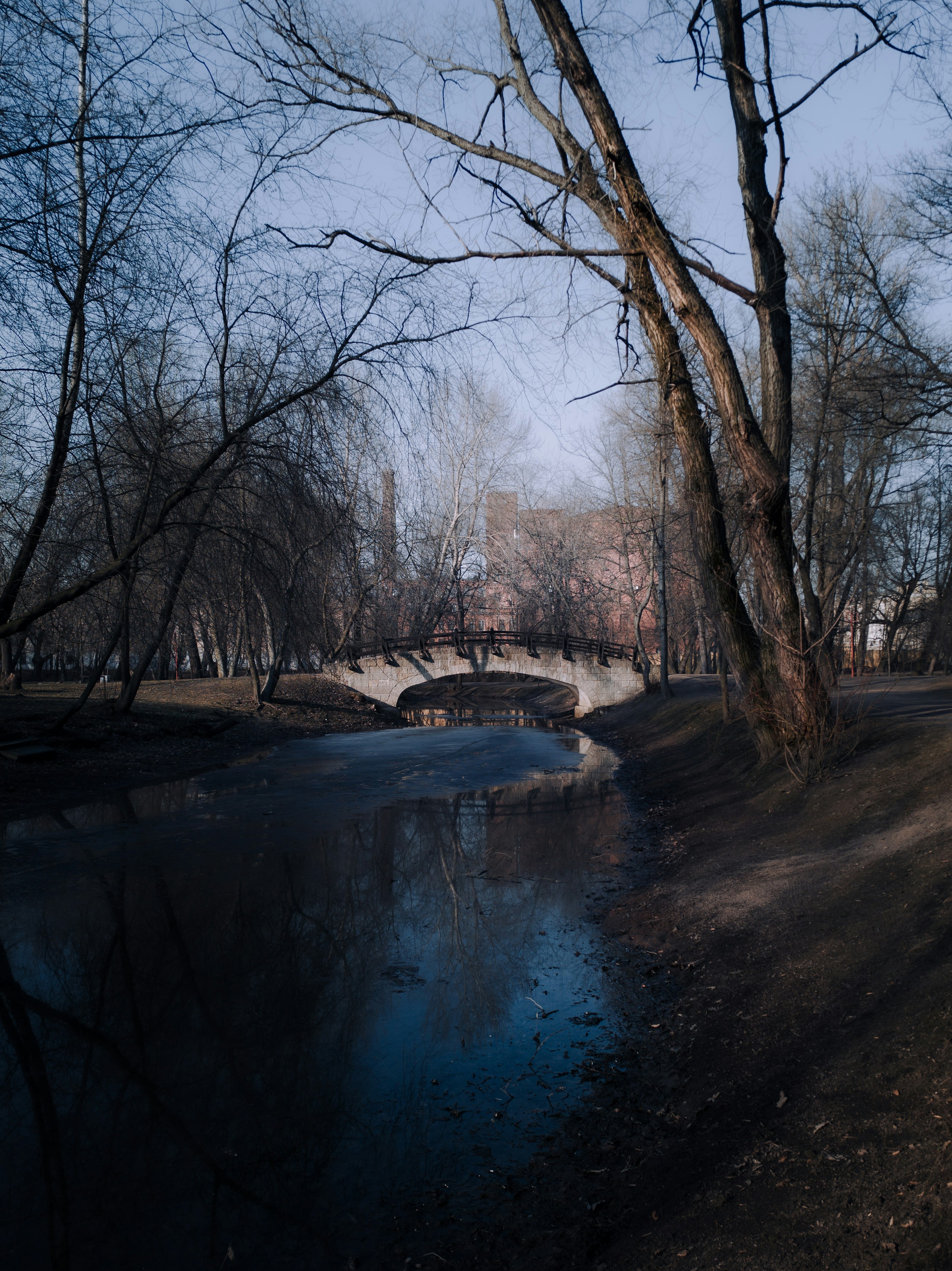 Bridge over a Quiet Canal at Winter's Edge