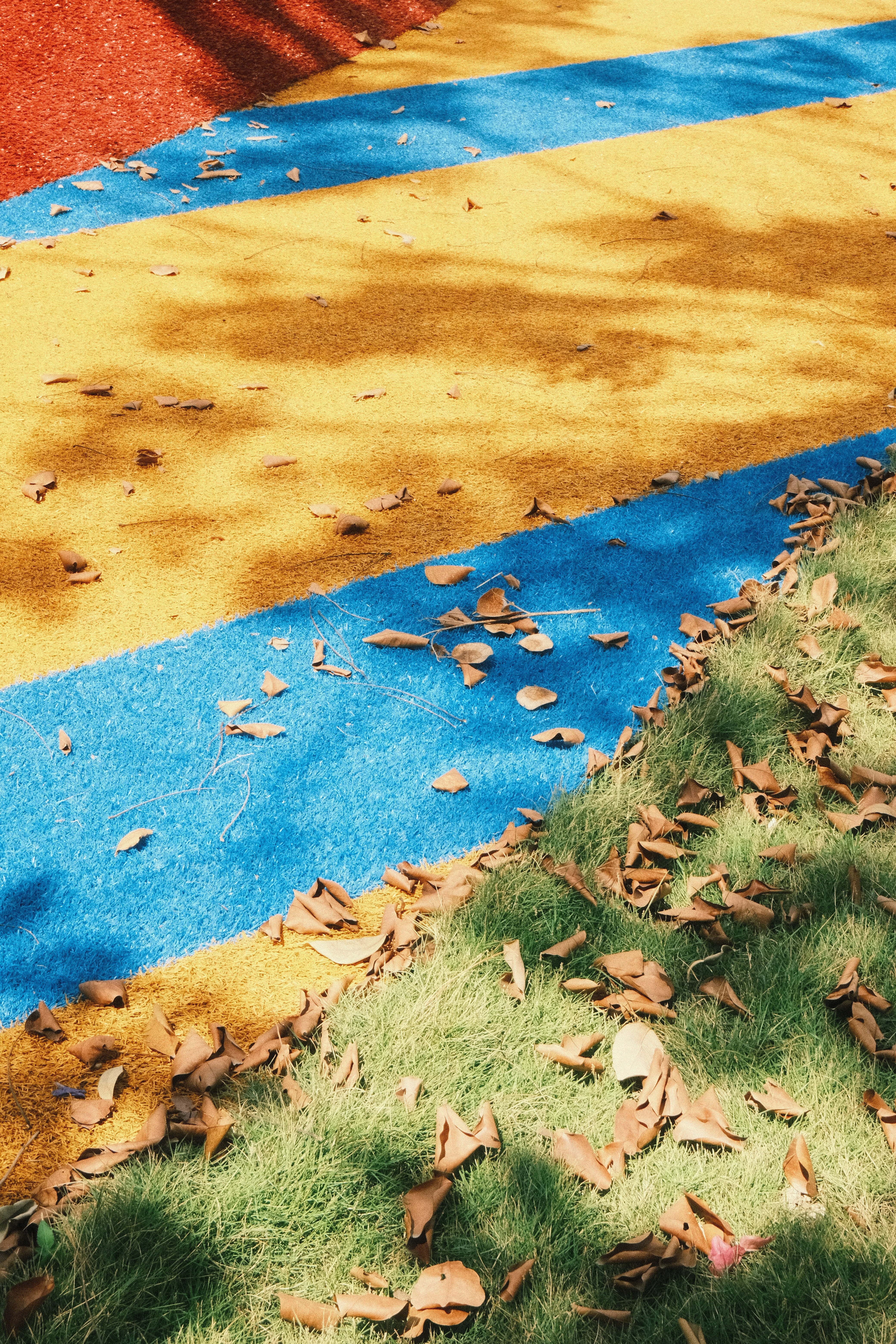 Painted Path: A Colorful Strip Cuts Through Autumn Light