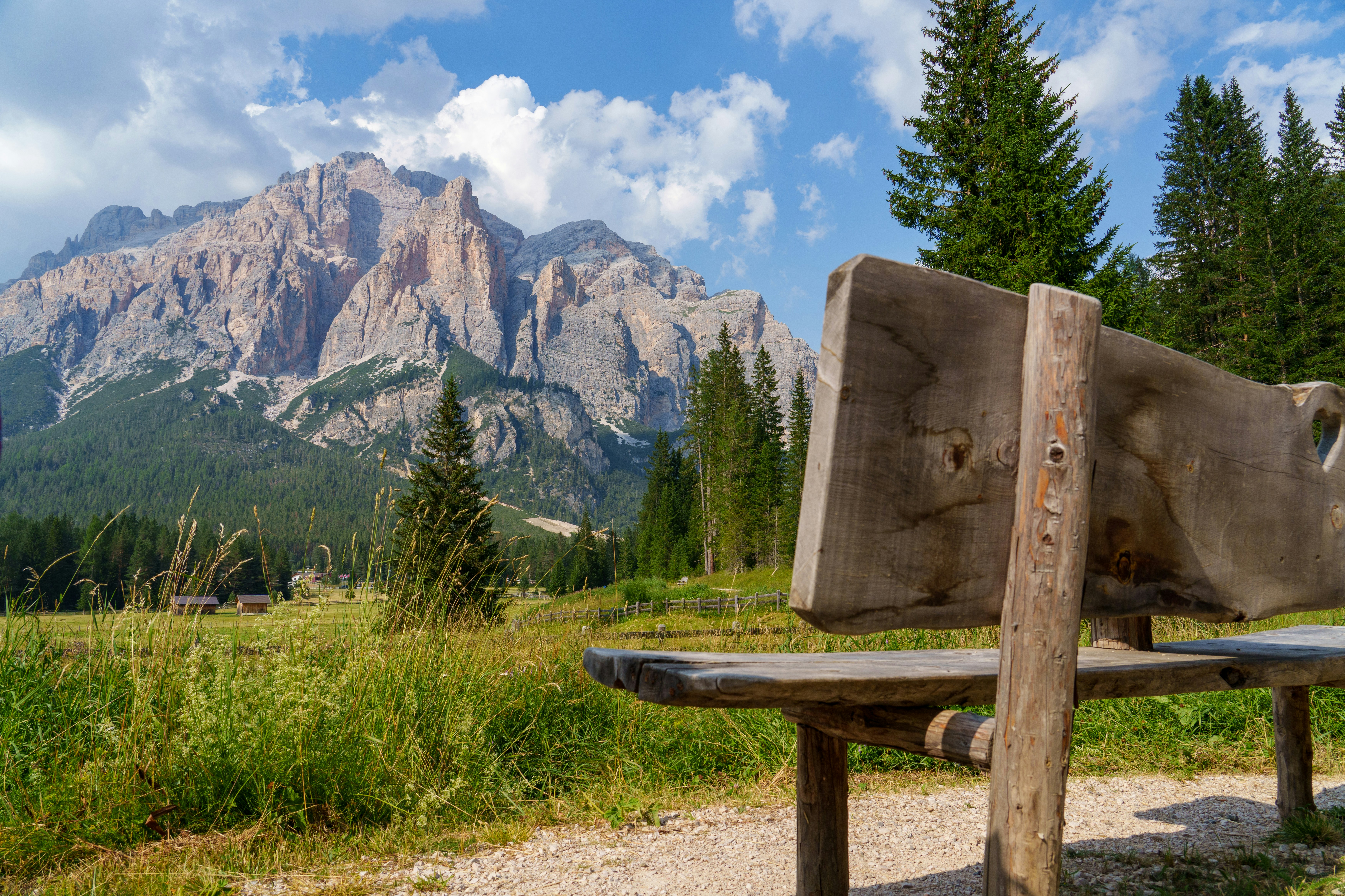 Bench with Mountain Backdrop: Quiet Canyon Meadow