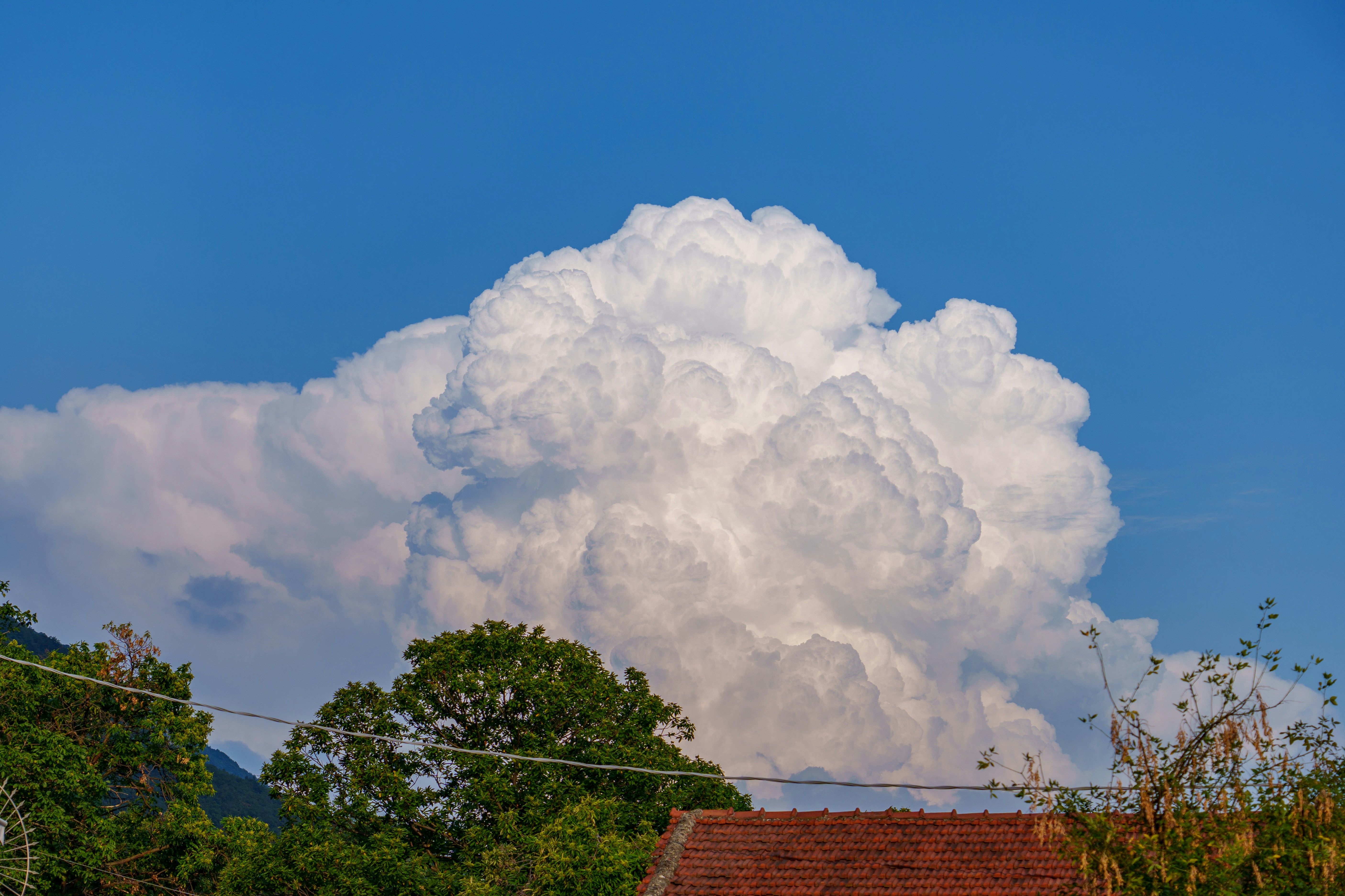 A Towering Cumulus Above Quiet Rooftops