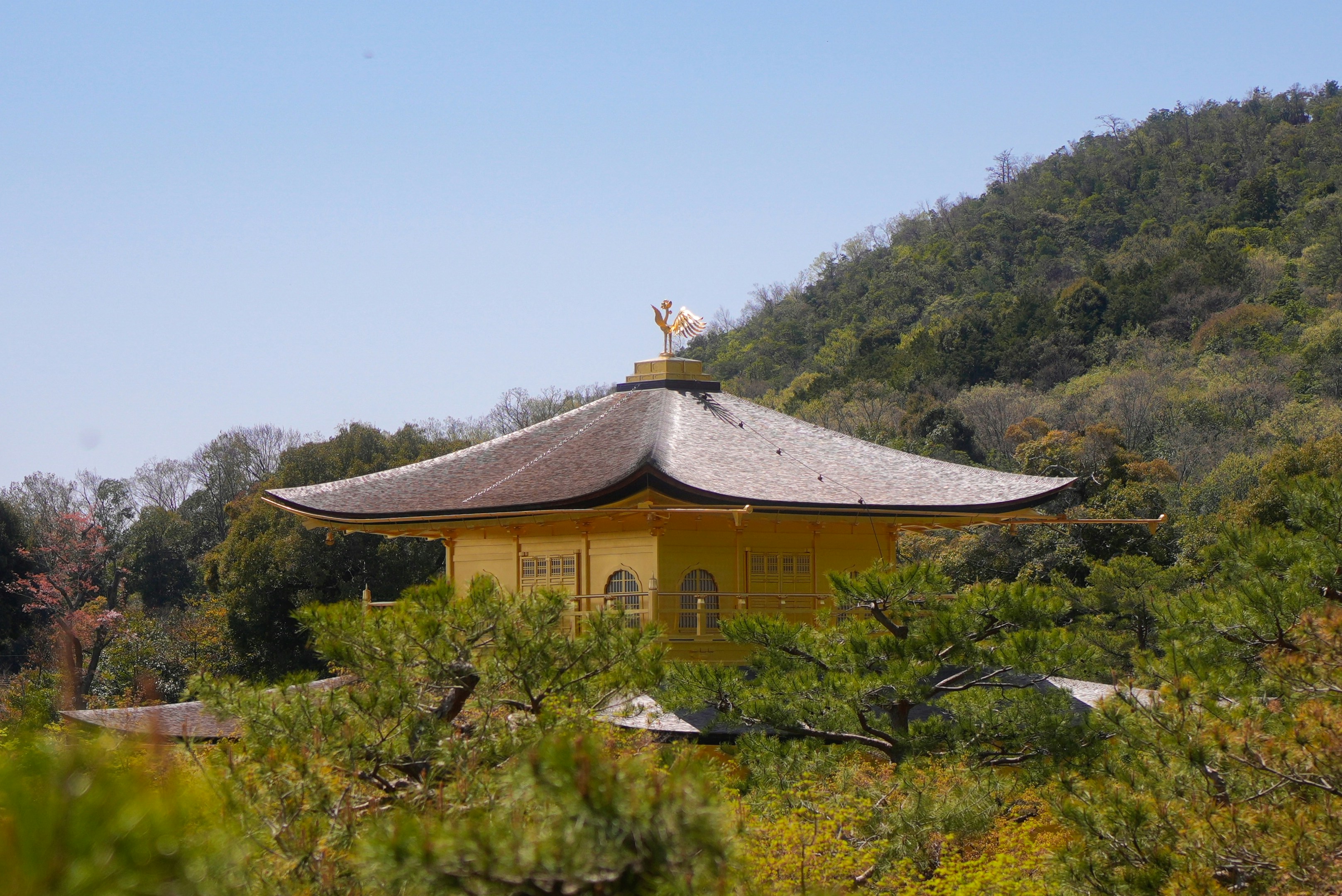 Golden Roofed Pagoda Amid Green Hills