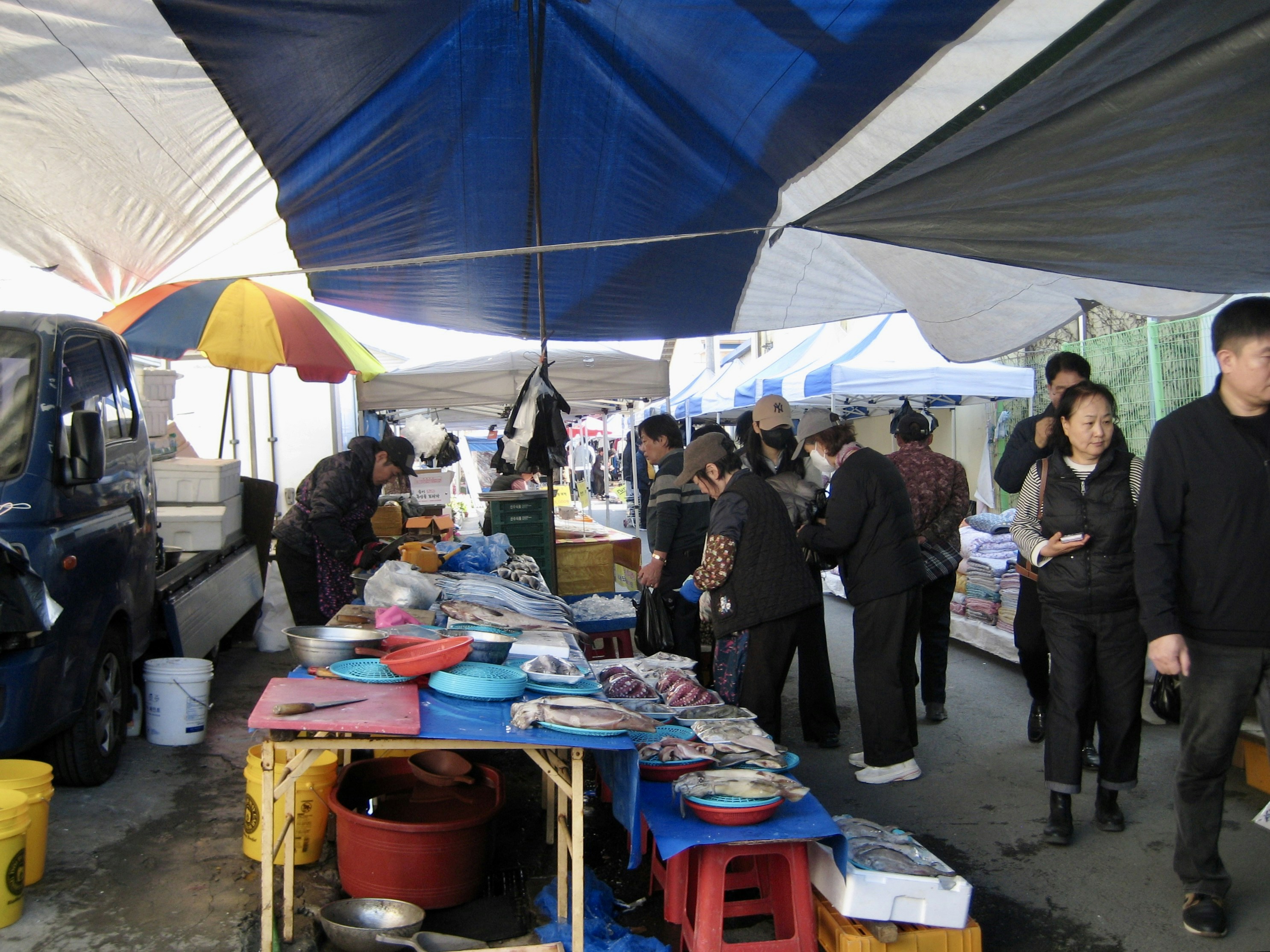 Market Rows Under Colorful Canopies