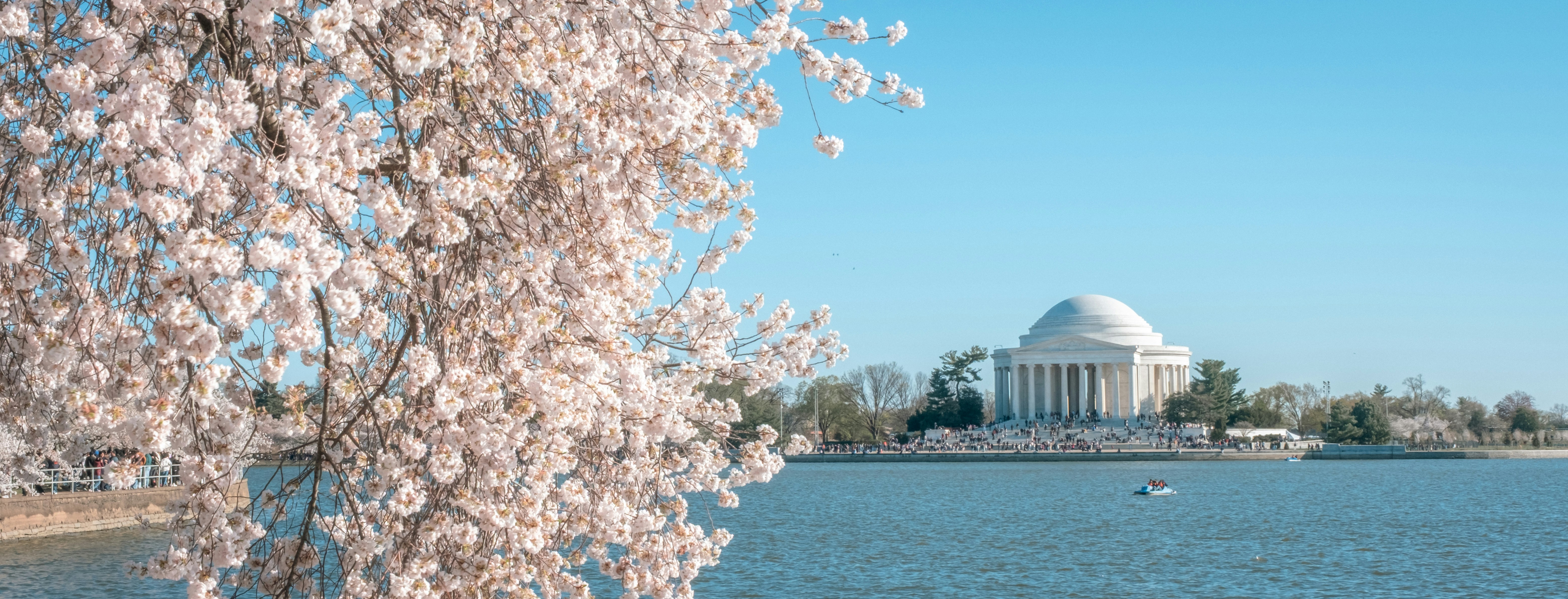 Blossoms by the Tidal Basin: A Spring Morning with a Neoclassical Monument