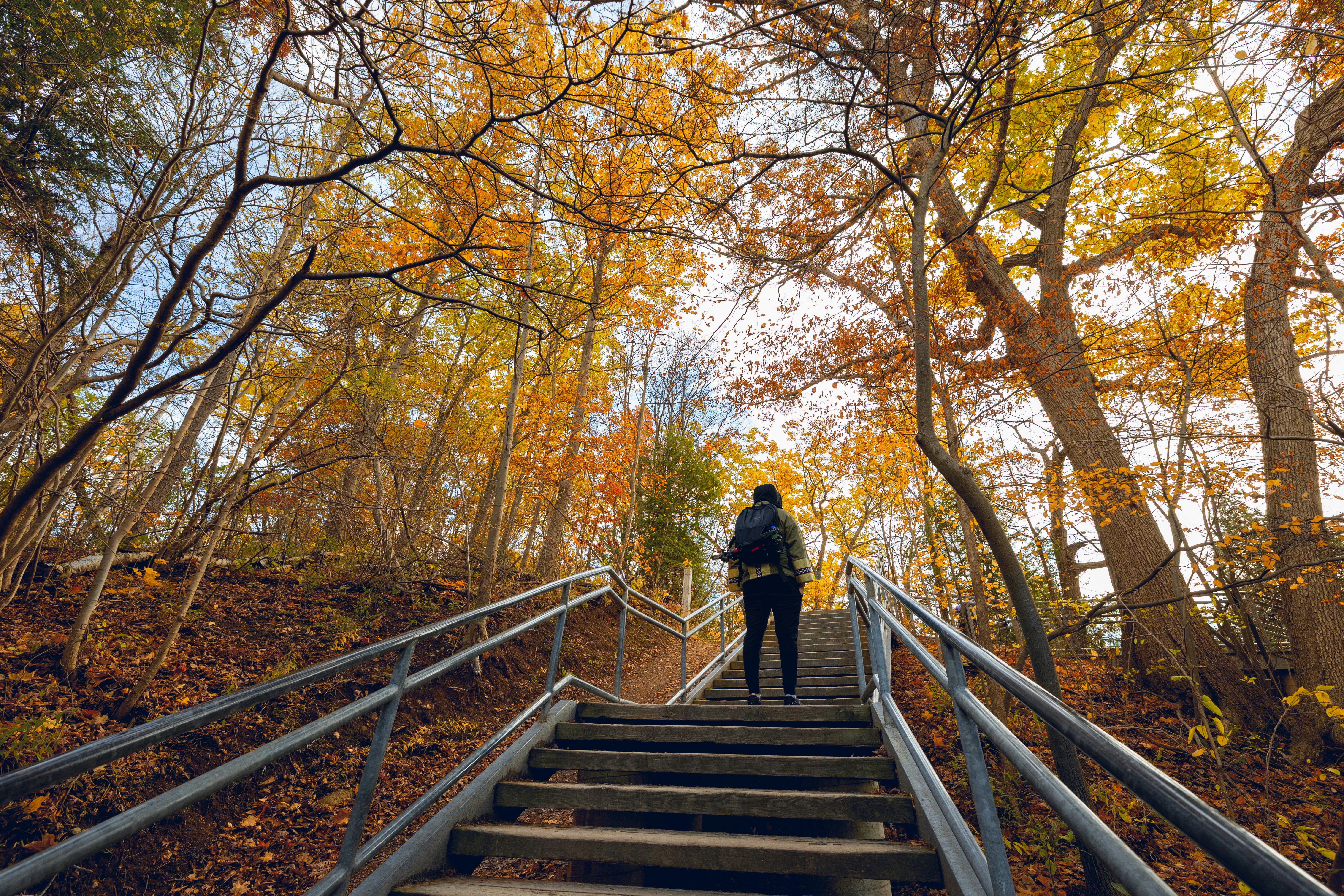 Traveler on a Sunlit Autumn Staircase