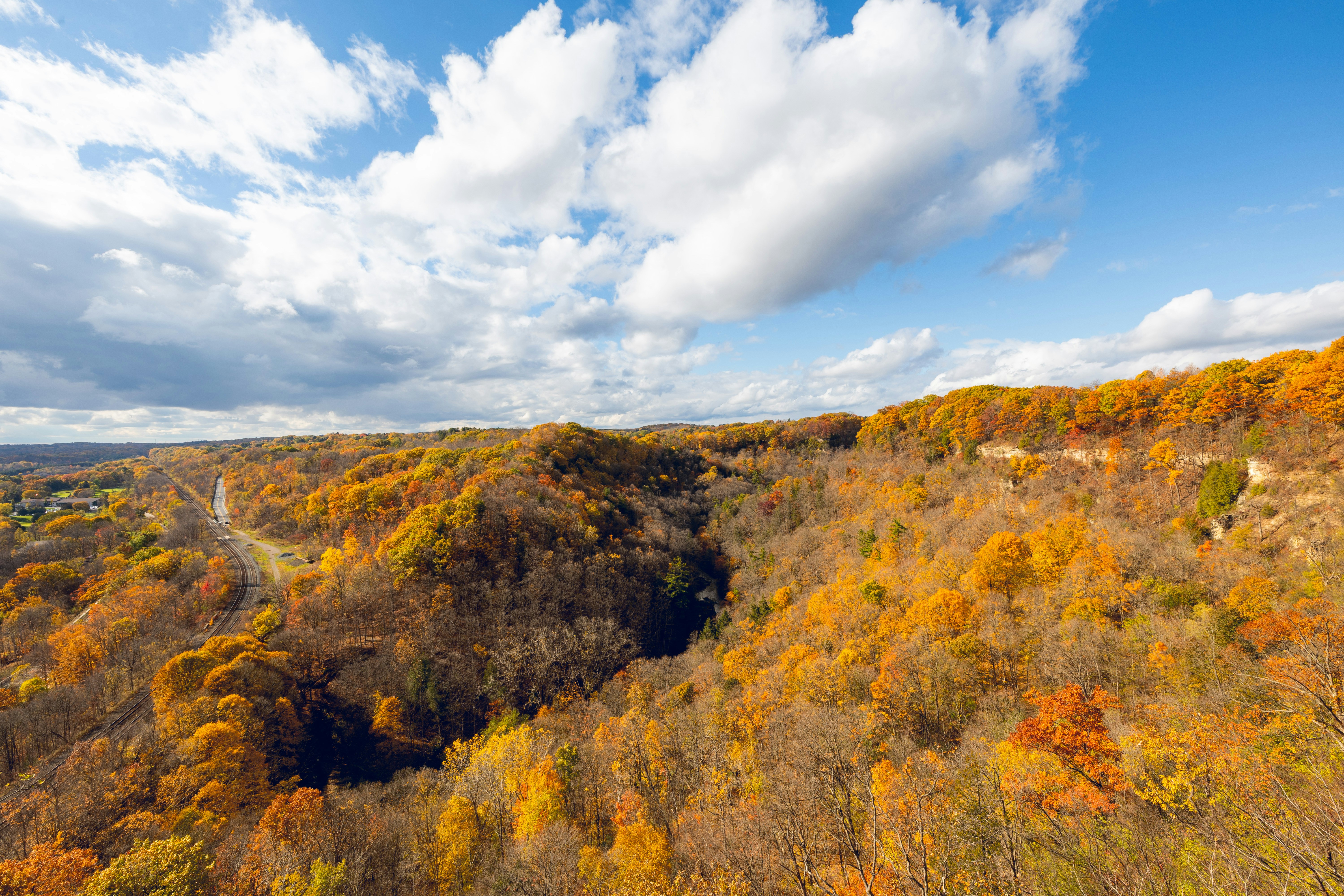 Autumn Ridge: Aerial Quilt of Fall Colors