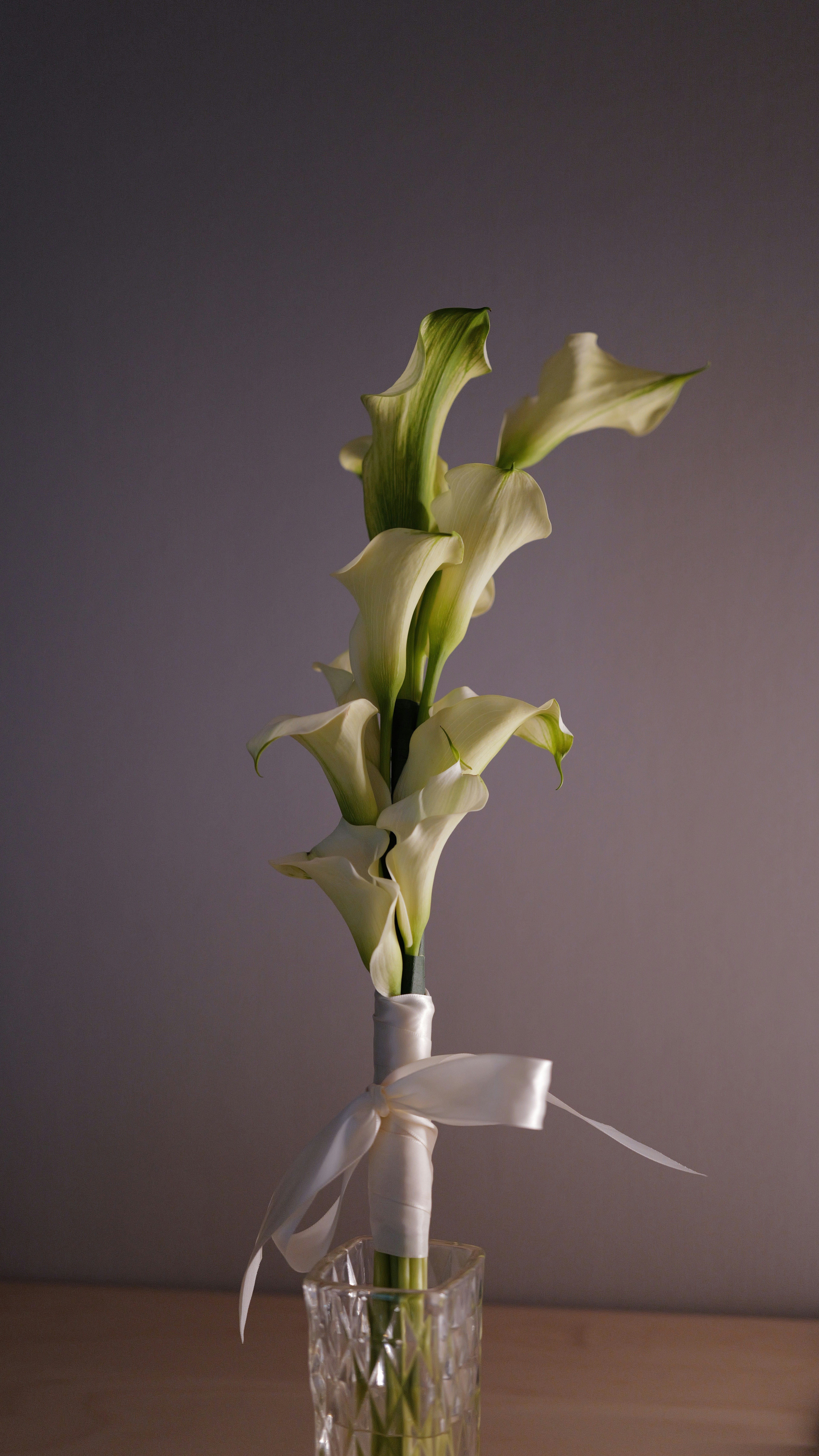 White Calla Geometry in Soft Backdrop