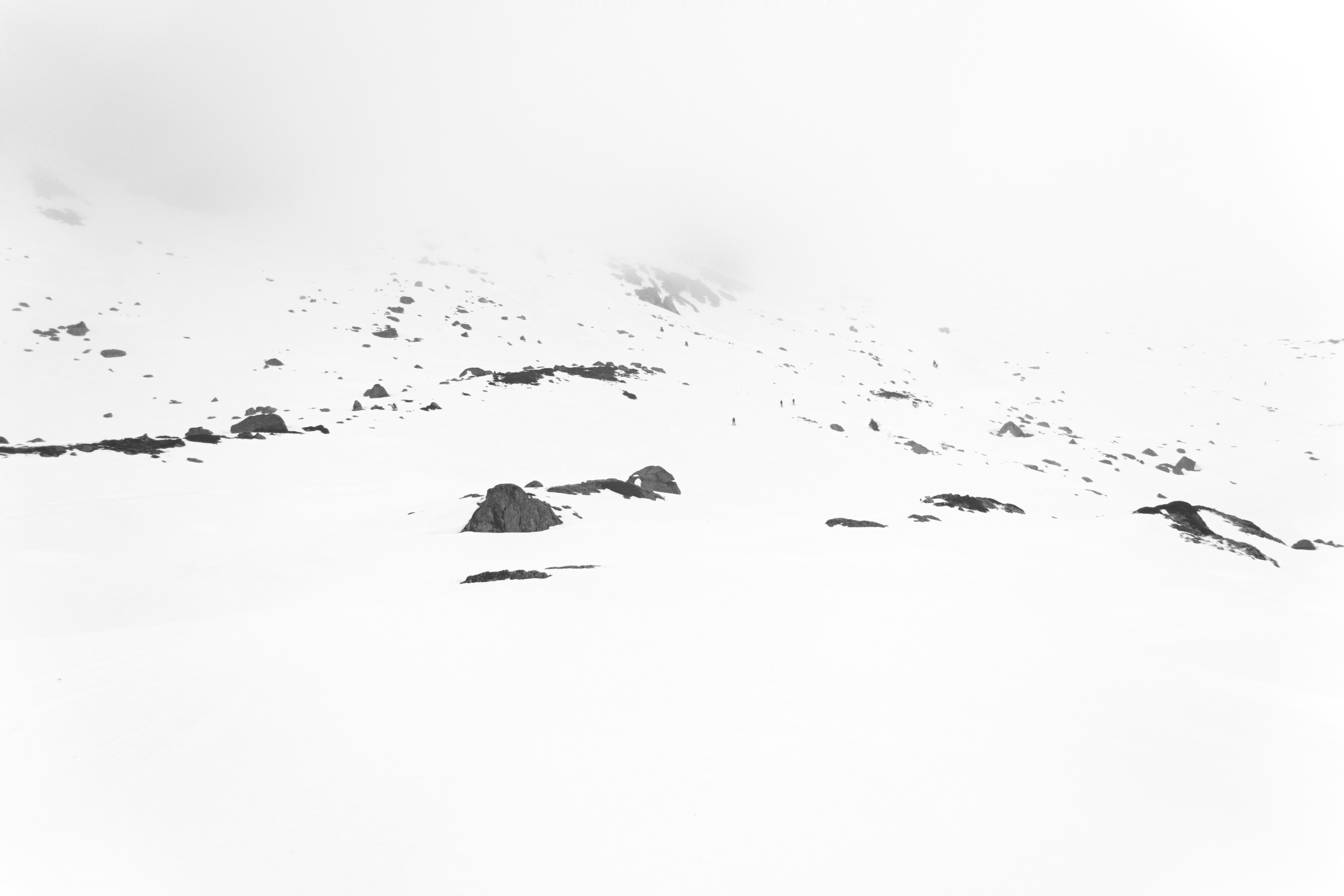 Snowbound Ridge: A Bleached Horizon in Silence