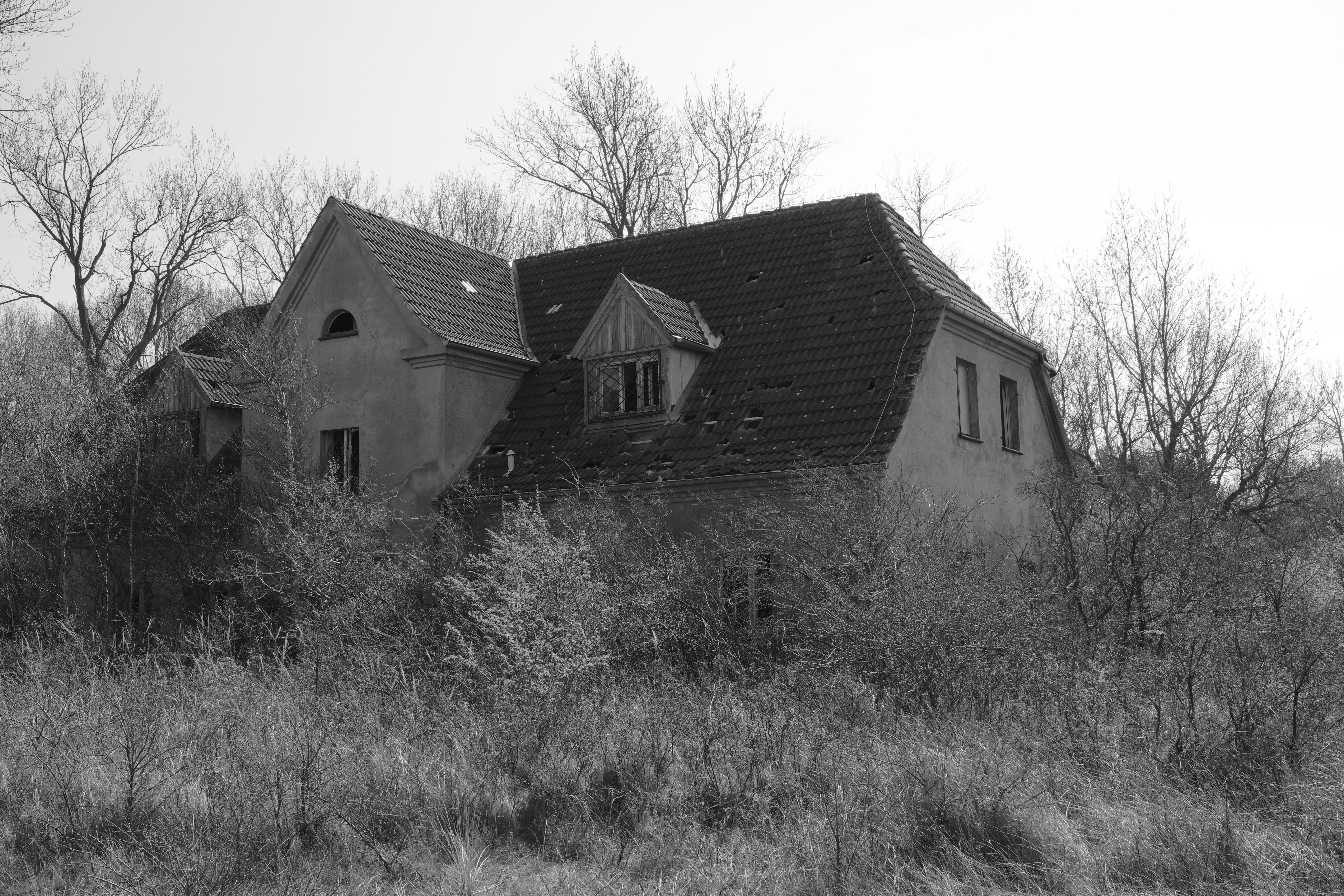 Crumbled House in Quiet Overgrowth