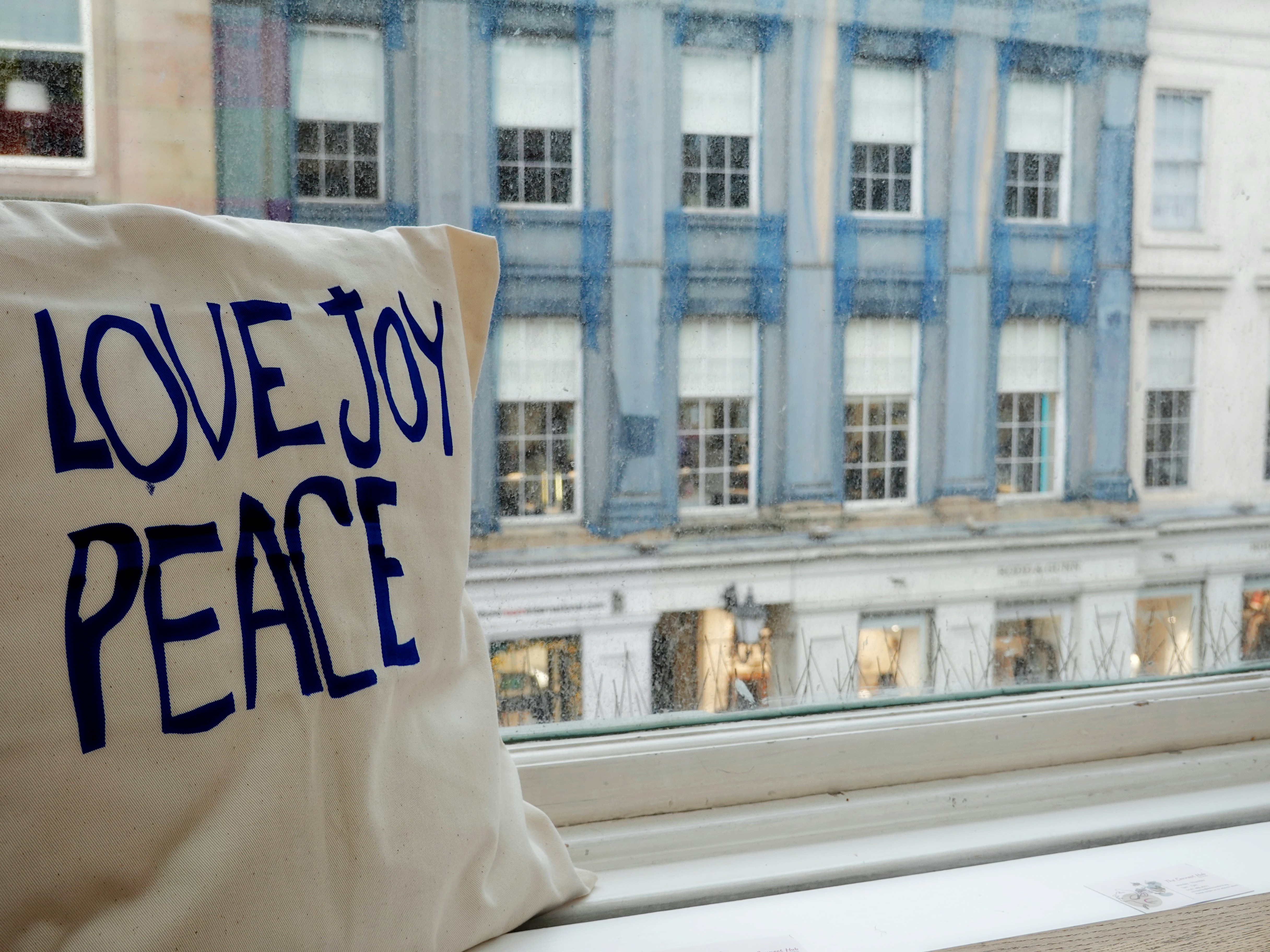 Peaceful Protest on a City Window Sill