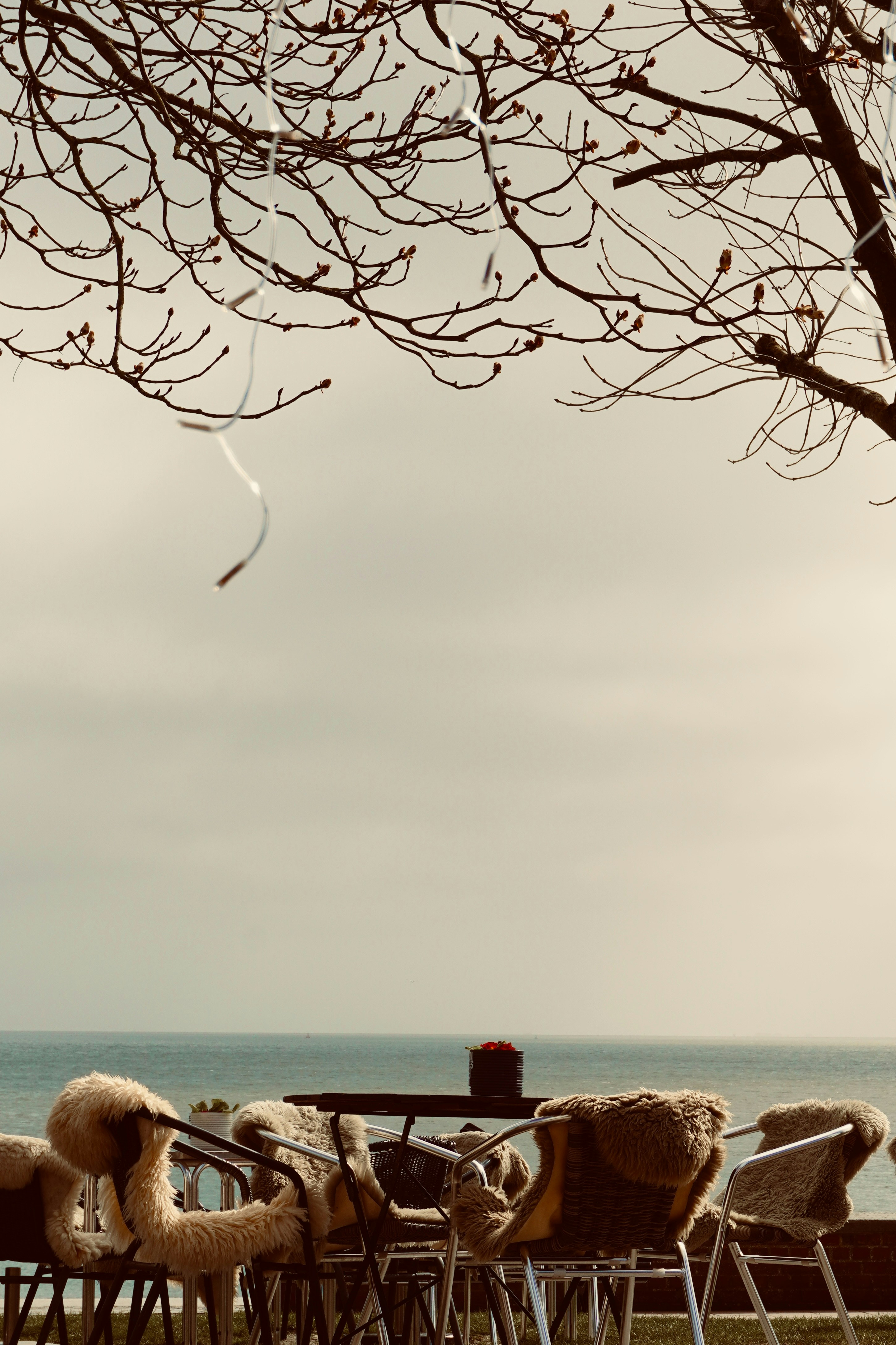 Winter Drows by the Sea: Chairs Empty by a Bricked Balcony