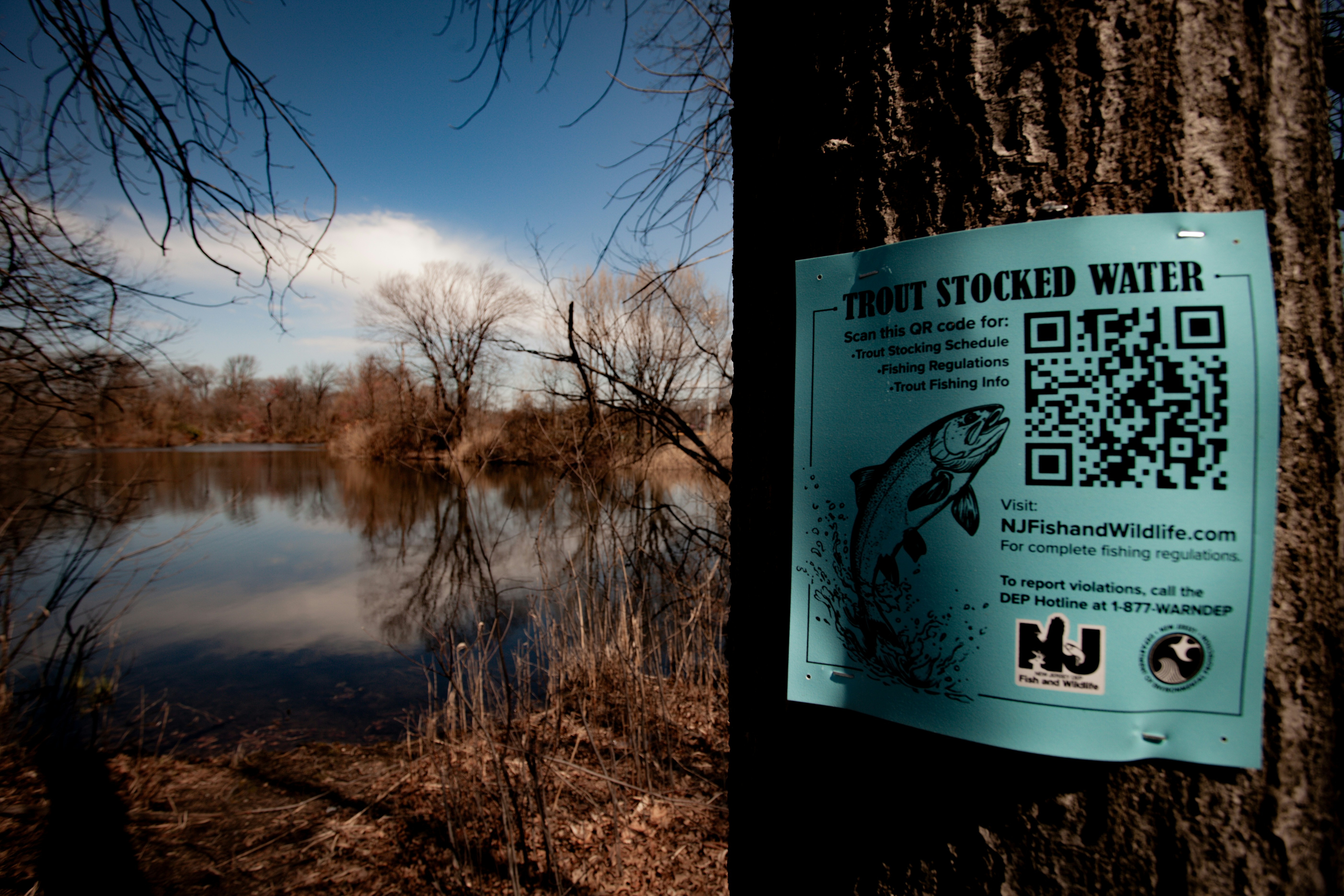 Tampered Tranquility: A Signboard by the Quiet Lake