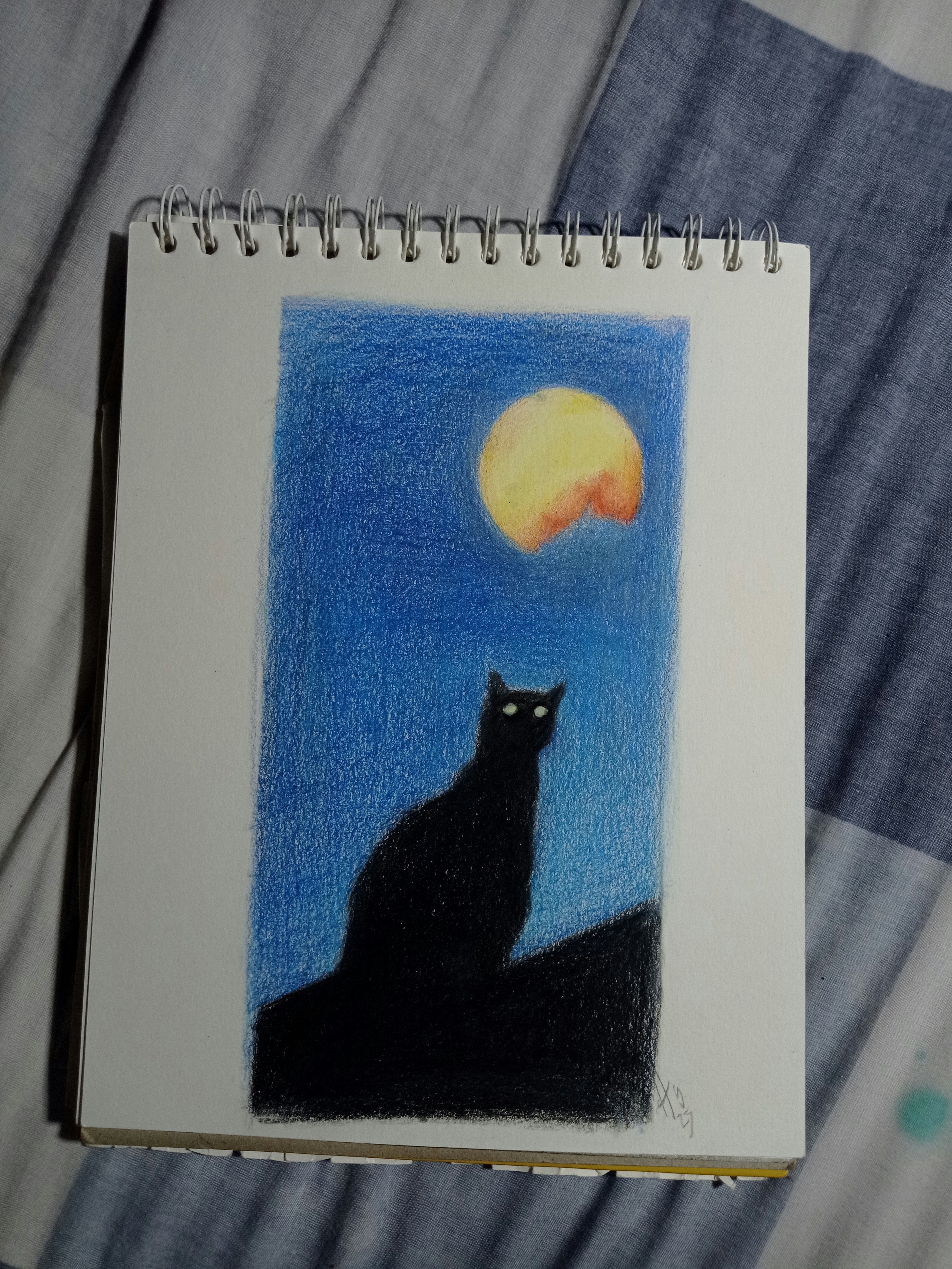 Moonlit Shadow: A Black Cat Under a Crescent Glow
