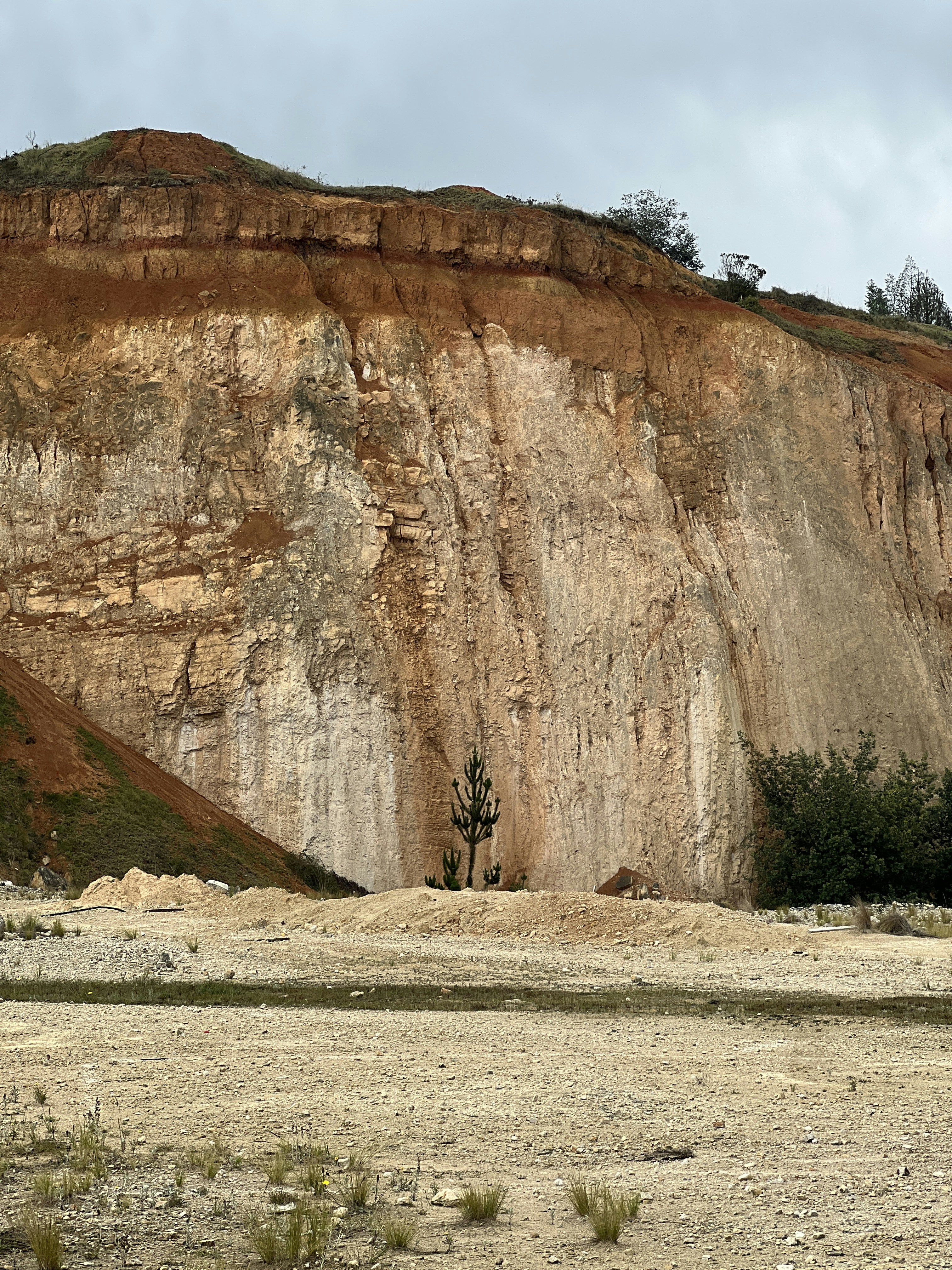 Vertical Cliff Face: A Sparse Landscape Carved by Erosion