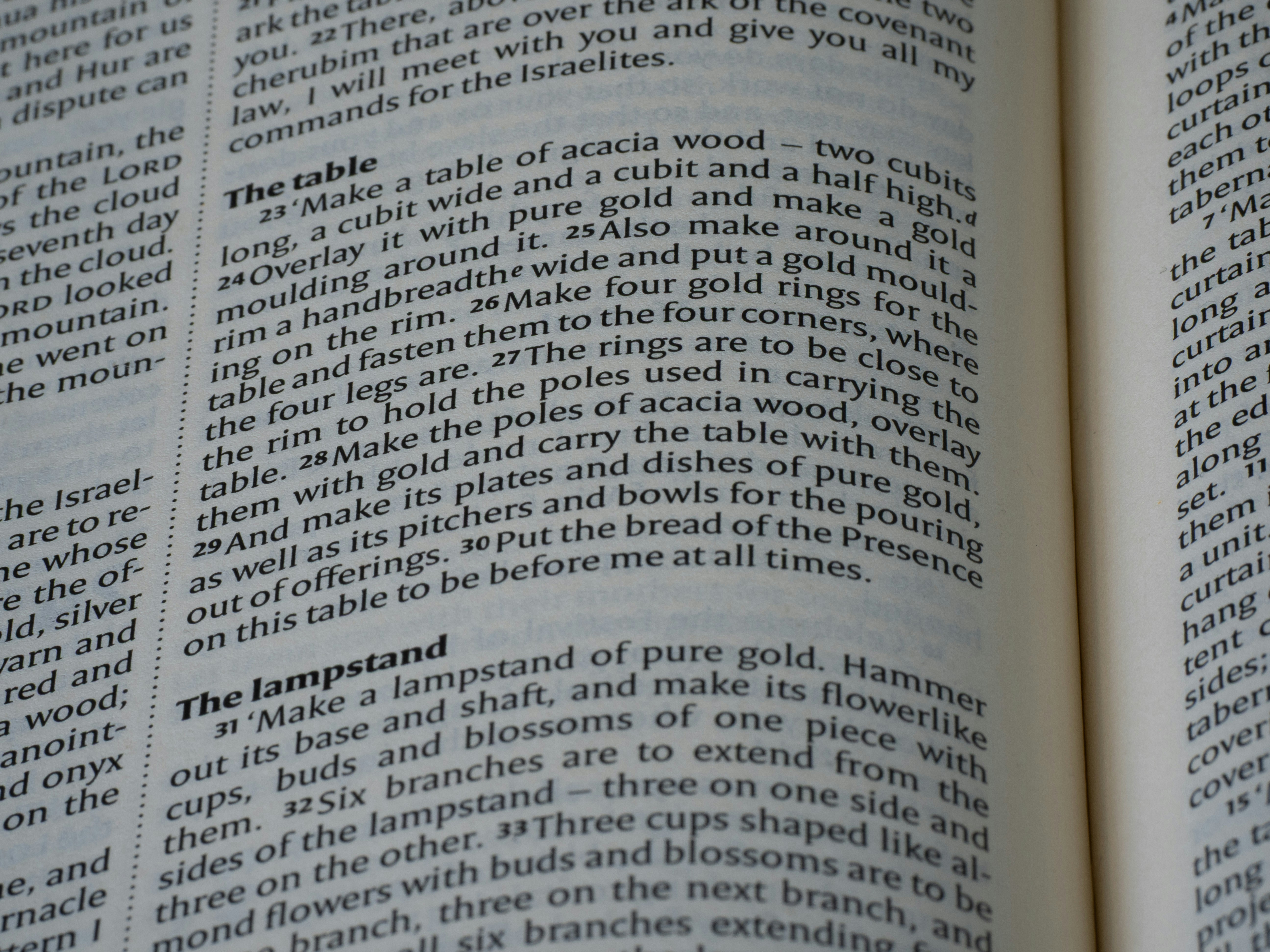 Margins of Knowledge: A Close‑Up of Printed Text in a Book