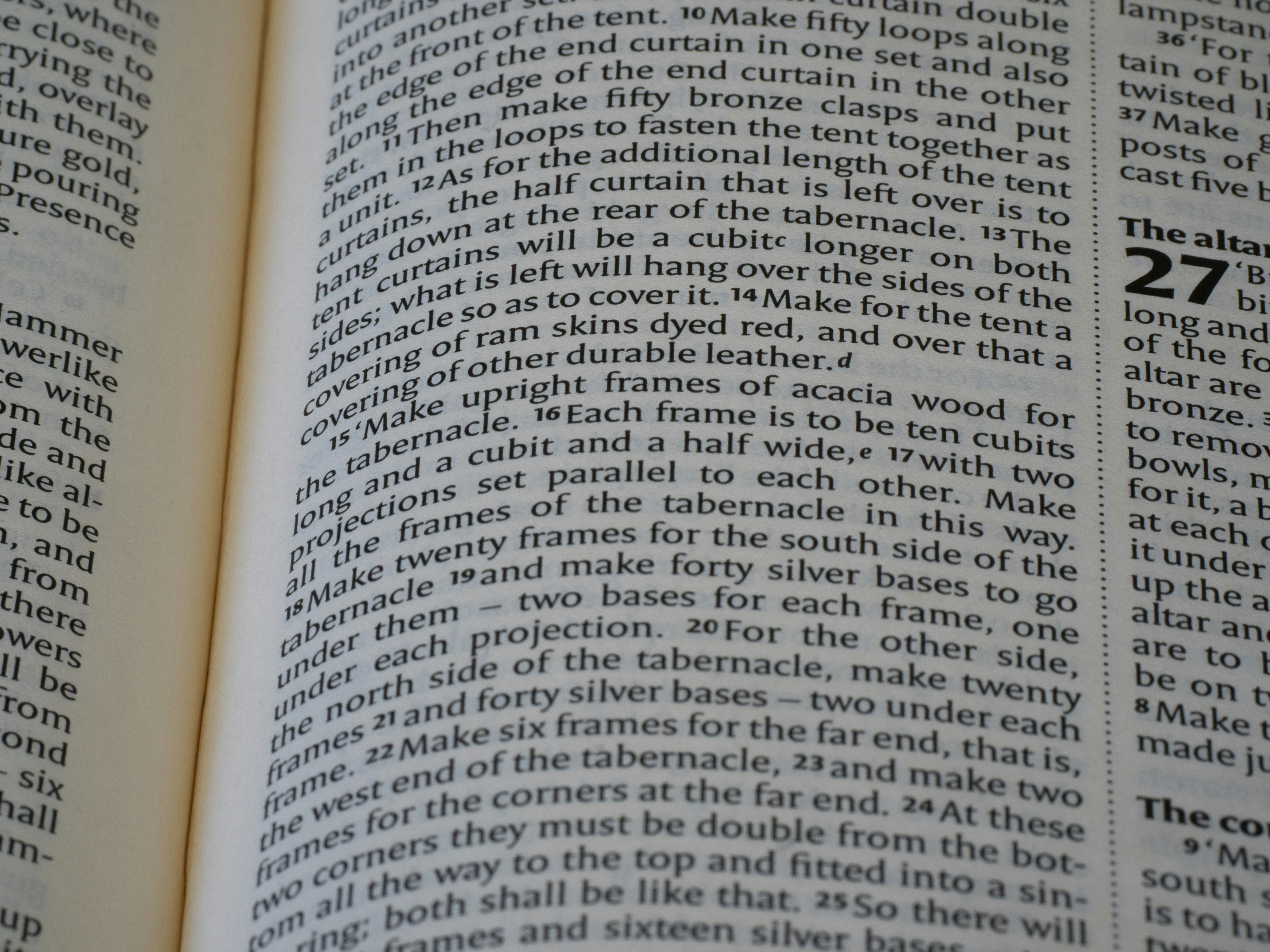 Detailed Pages: Close-up of Textured Book Pages Curved at the Spine