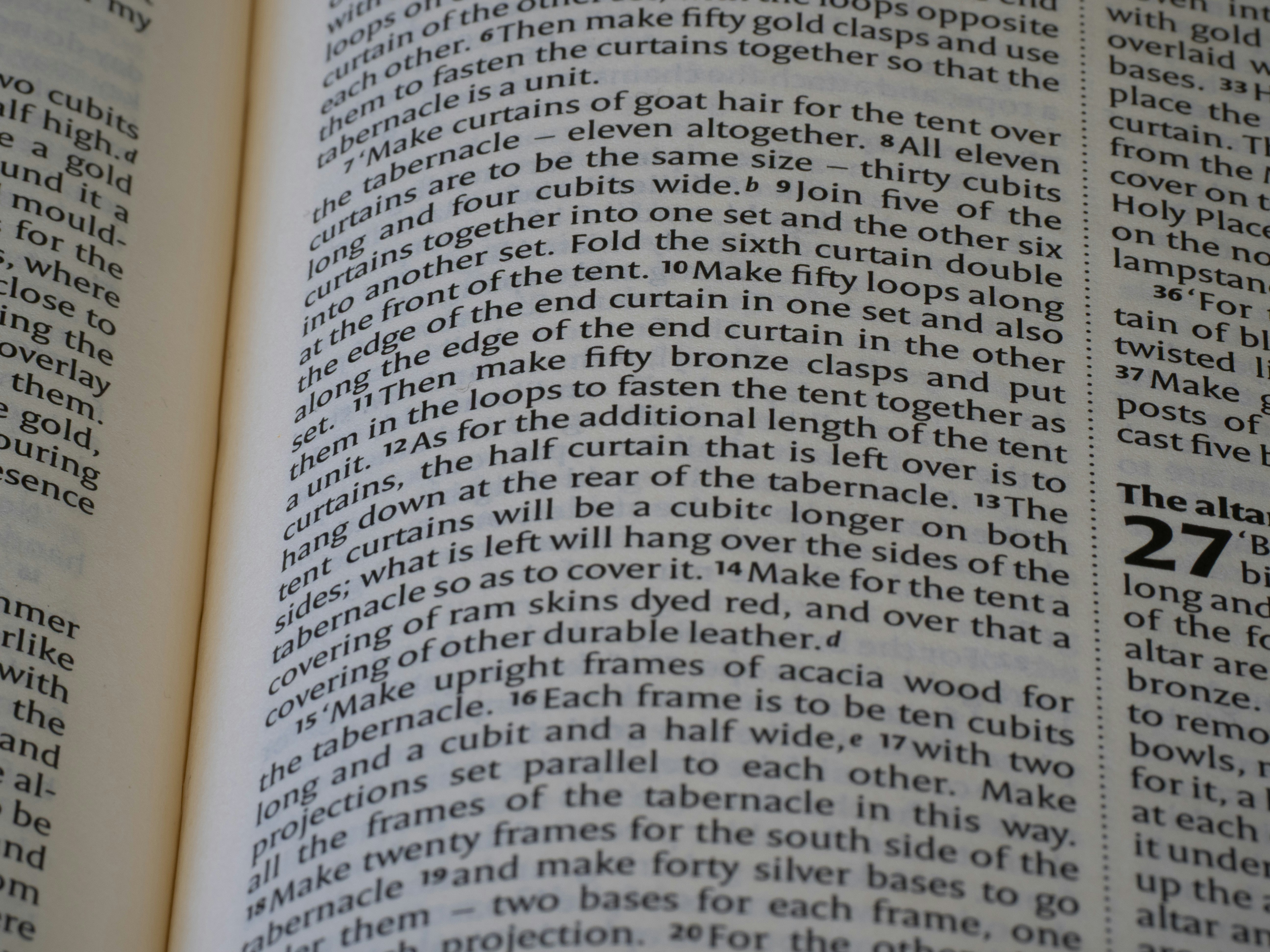 Close-up of a Curved Book Spine: Dense Text in a Tilted Page
