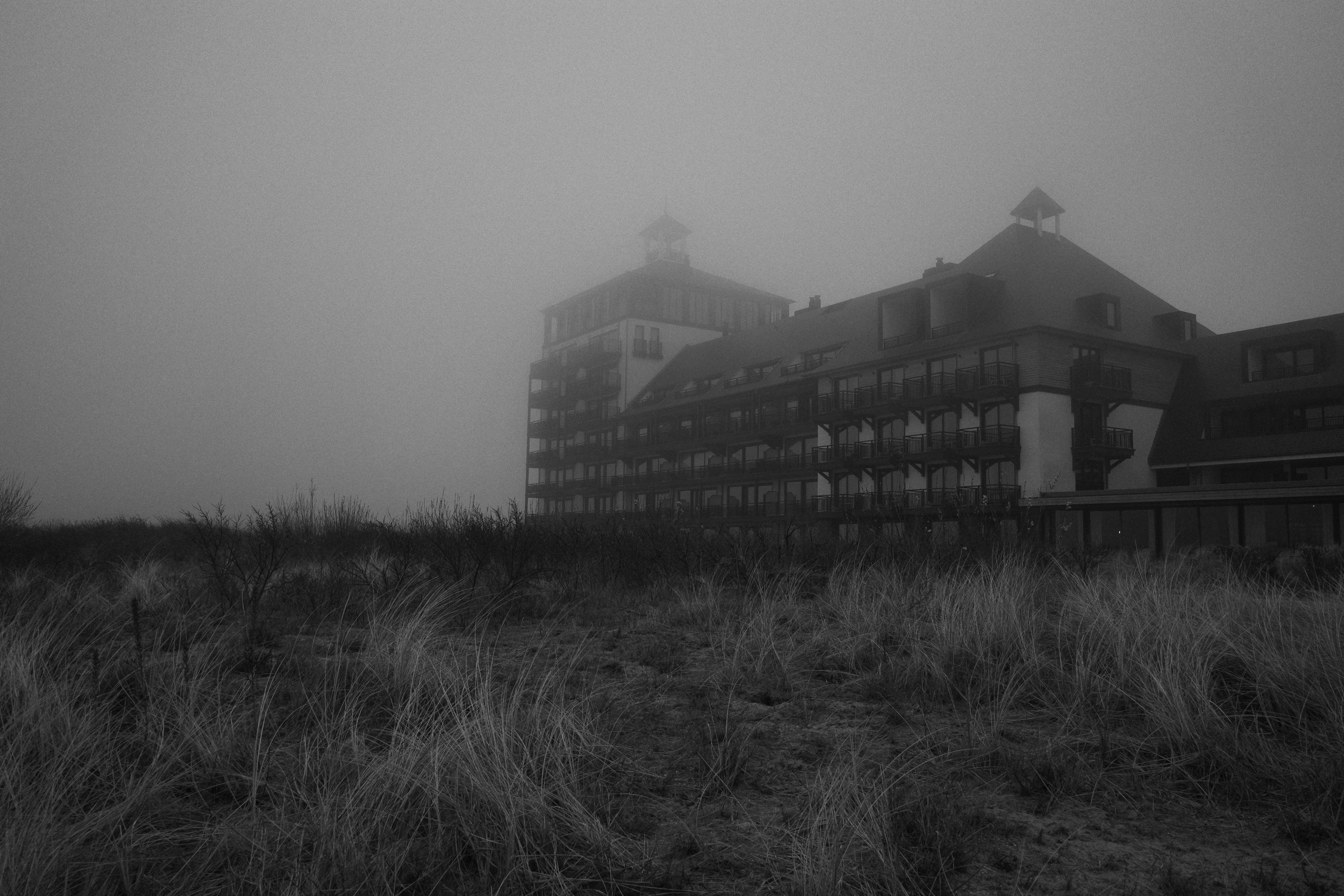 Fogbound Ascent: A Cold Wing of the Seaside Hotel