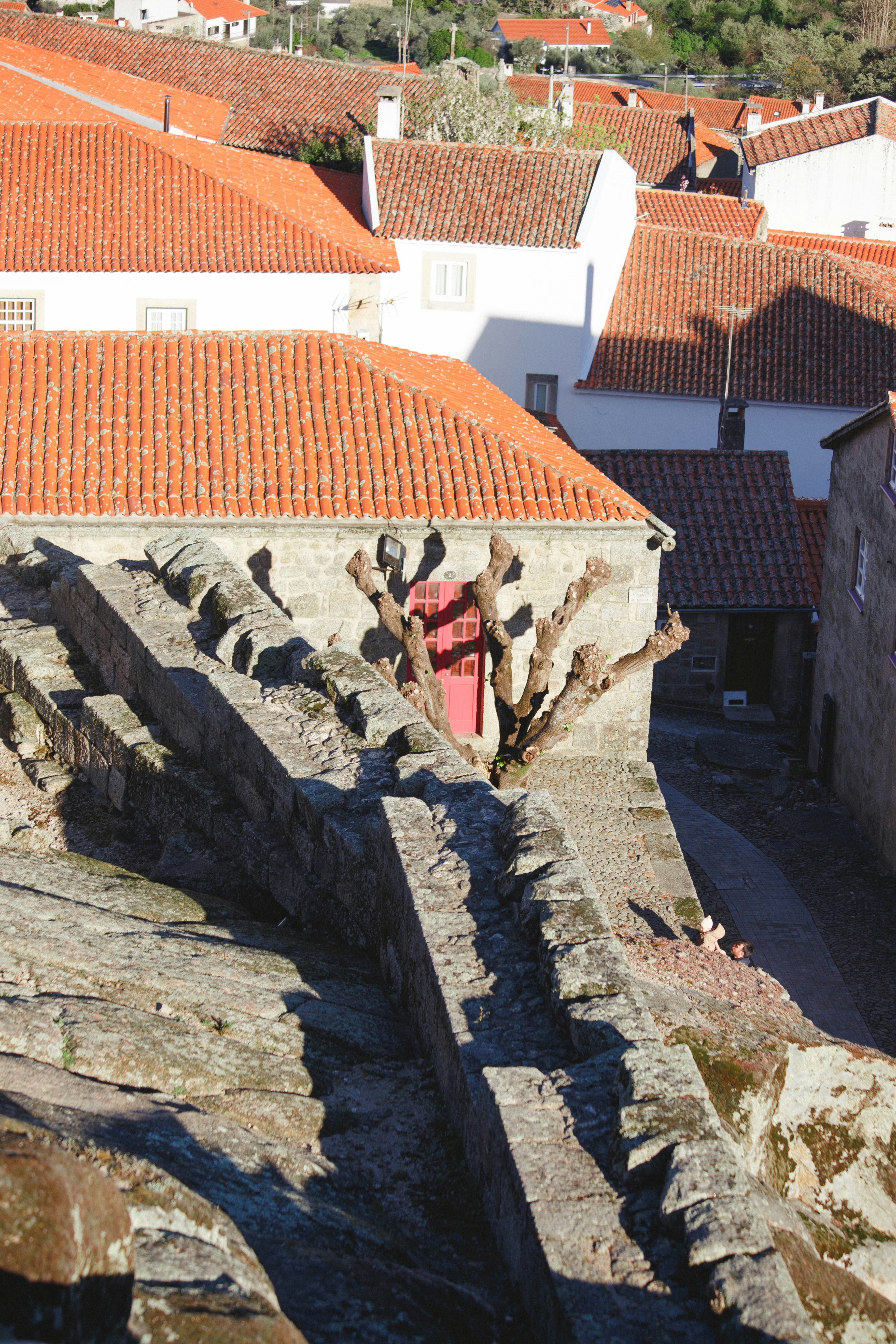 Terracotta Roofscape Over a Walled Terrace