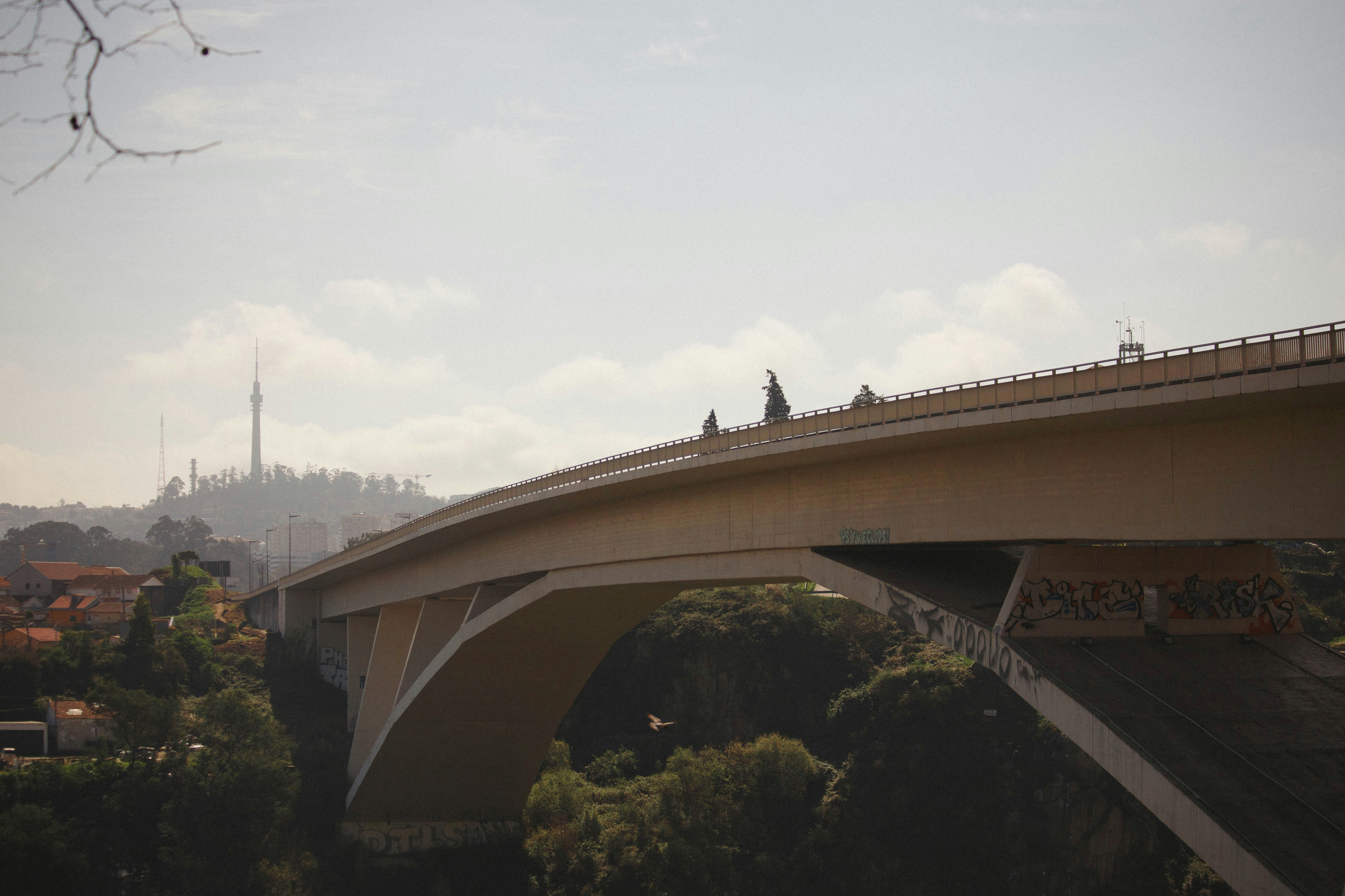 Above the Valley: The curving bridge courting the hillside