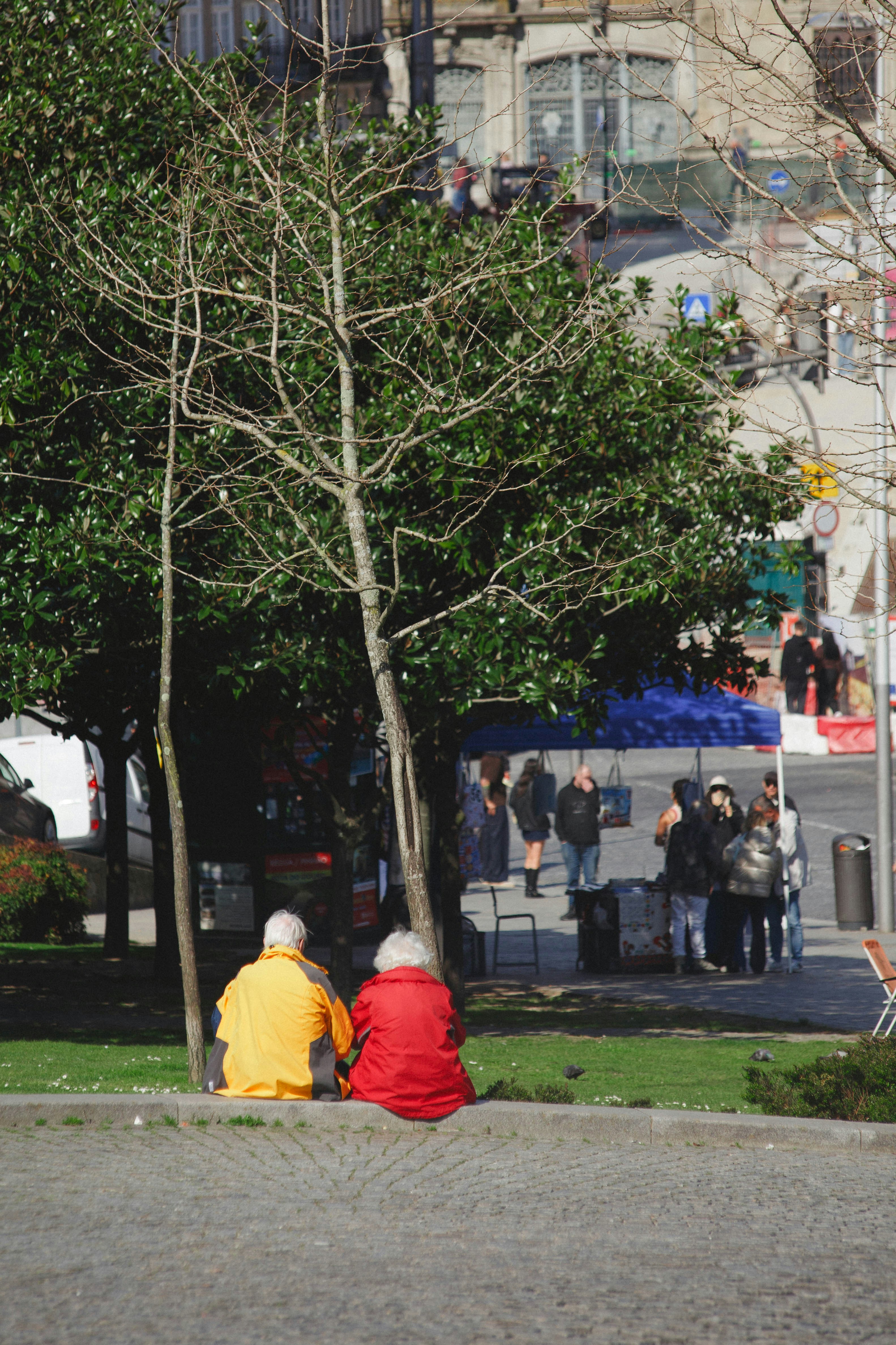 Two Seniors in Bright Jackets Rest by a Park Tree as City Life Unfolds Behind