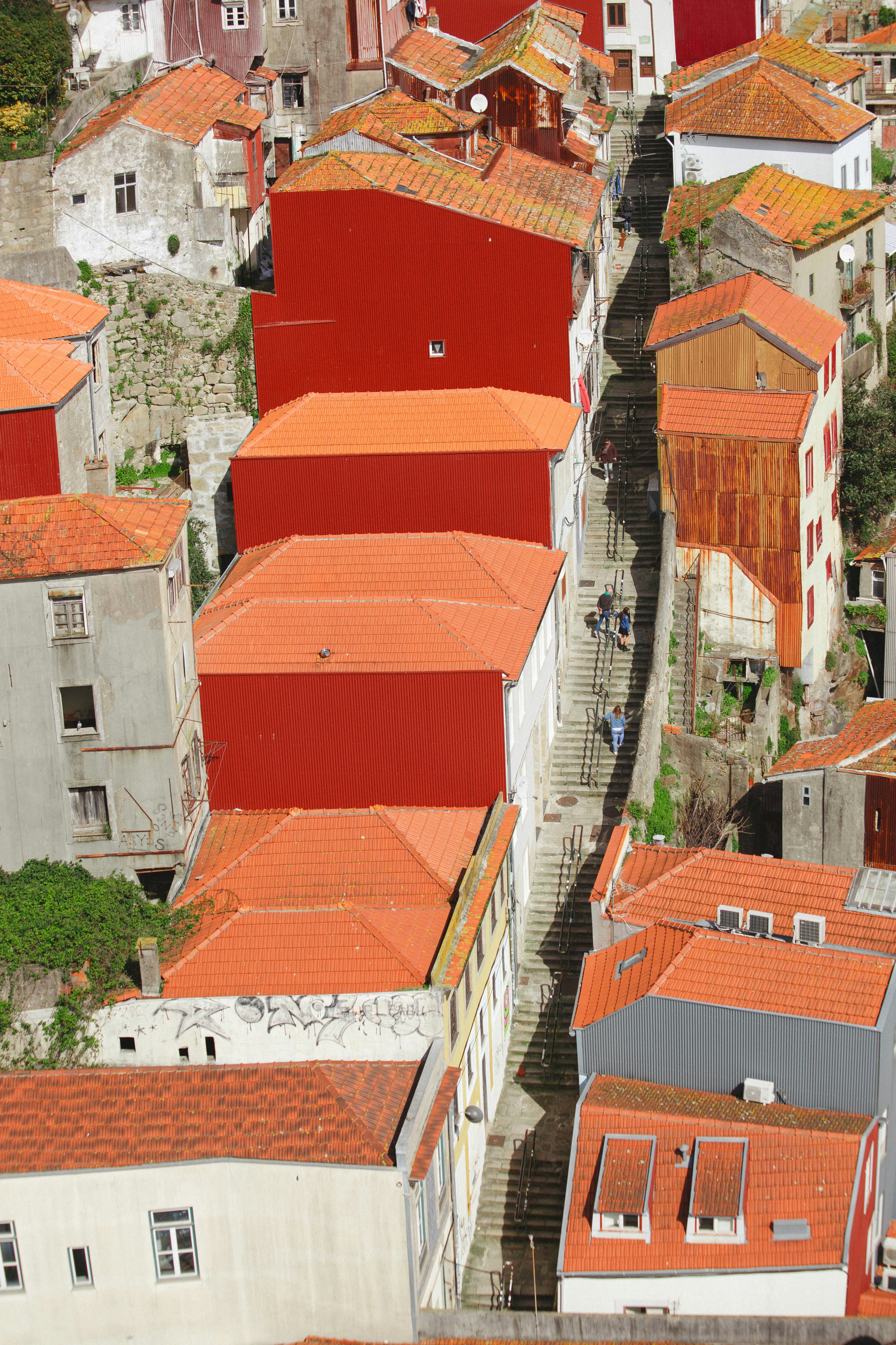 Red-Roofed Alleyway: A Terraced Cascade of Colorful Houses