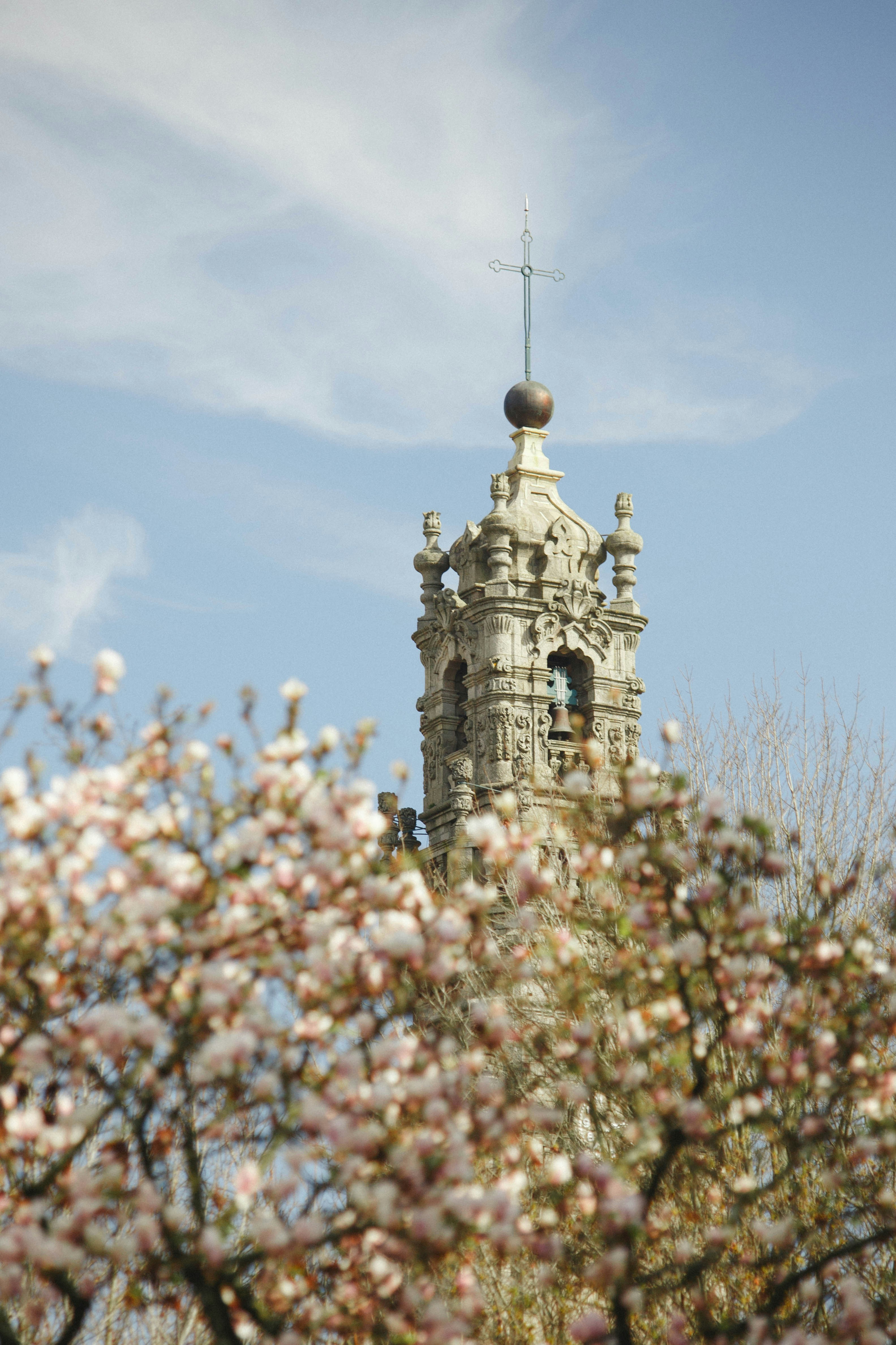 Bell-topped steeple rising above blossom-rich foreground