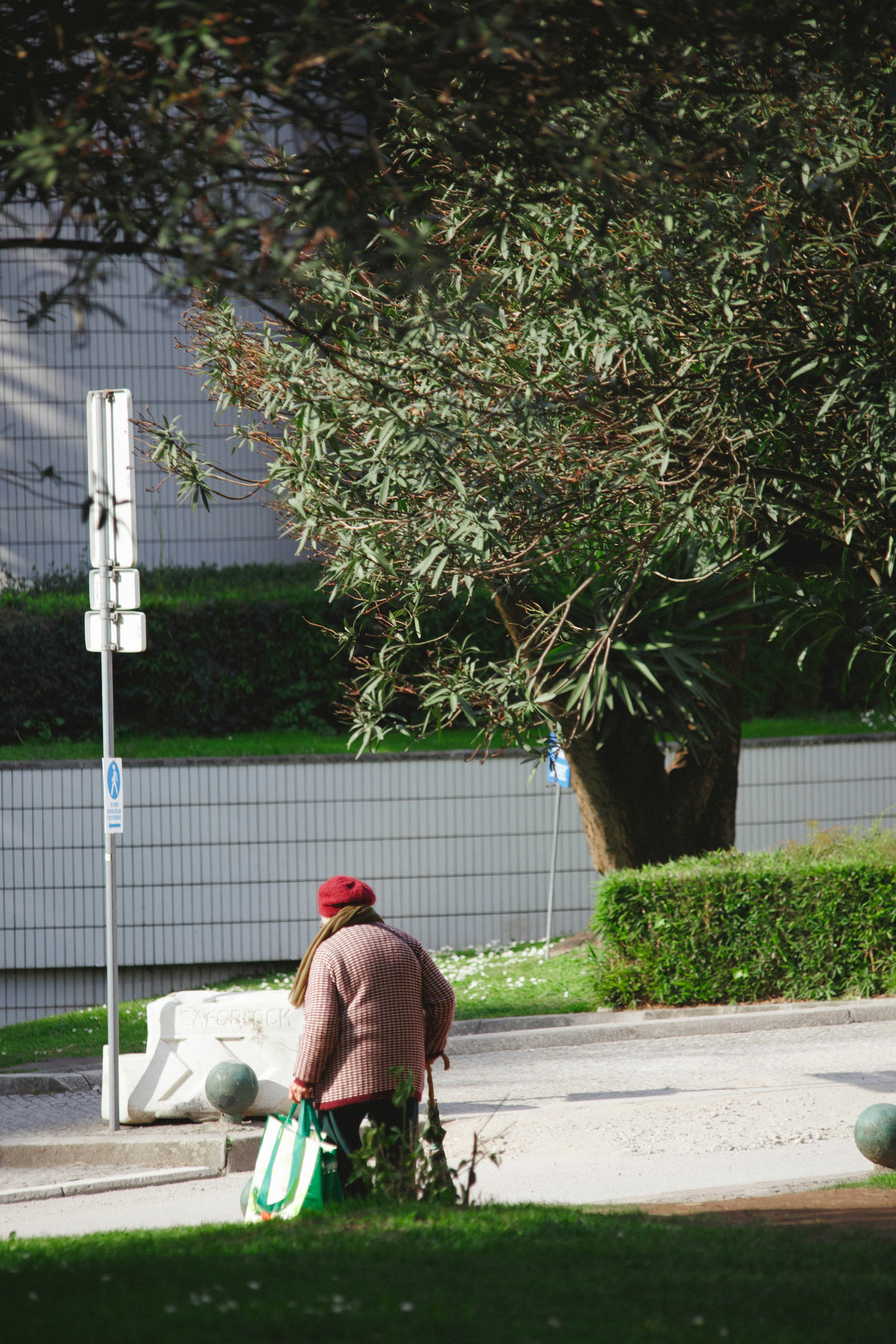 A Quiet Crossing: Elderly Shopper with Green Bag under a Canopy of Branches
