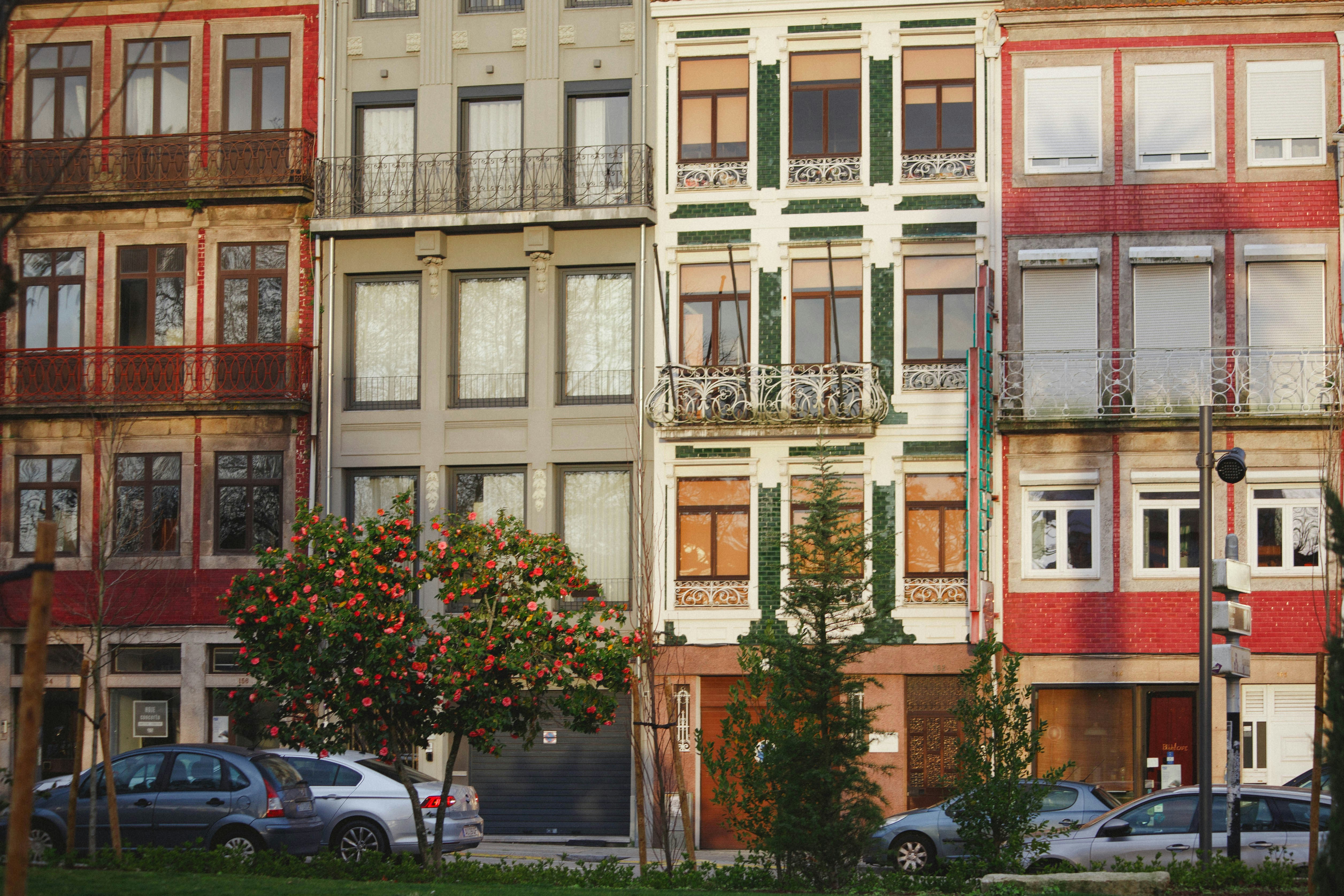 Row of Painted Townhouses with Street Trees and Parked Cars in Evening Light