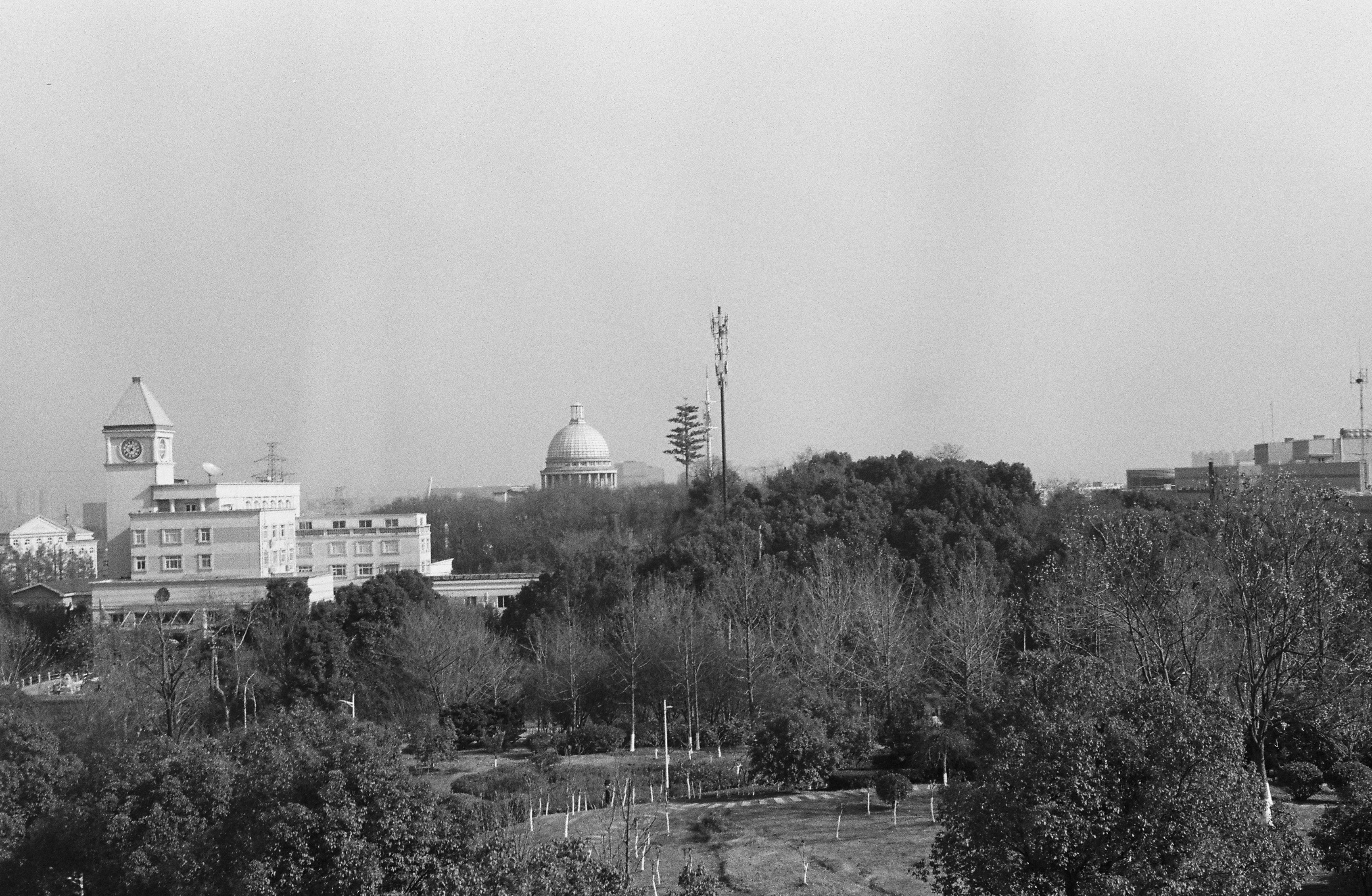 Domed Skyline Overgrown Park