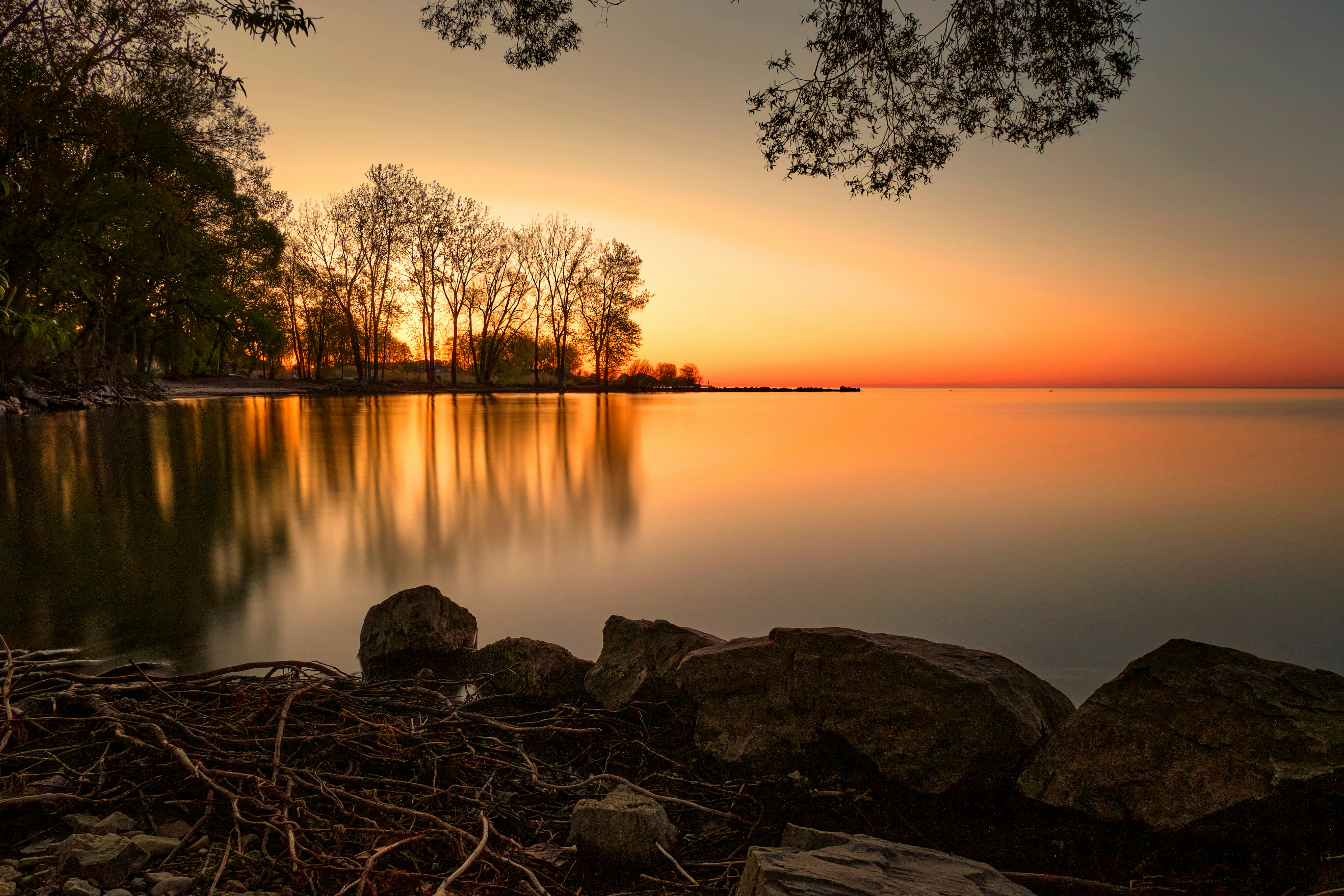Evening Silence at the Lake: Rimmed by Trees and Warm Sunset