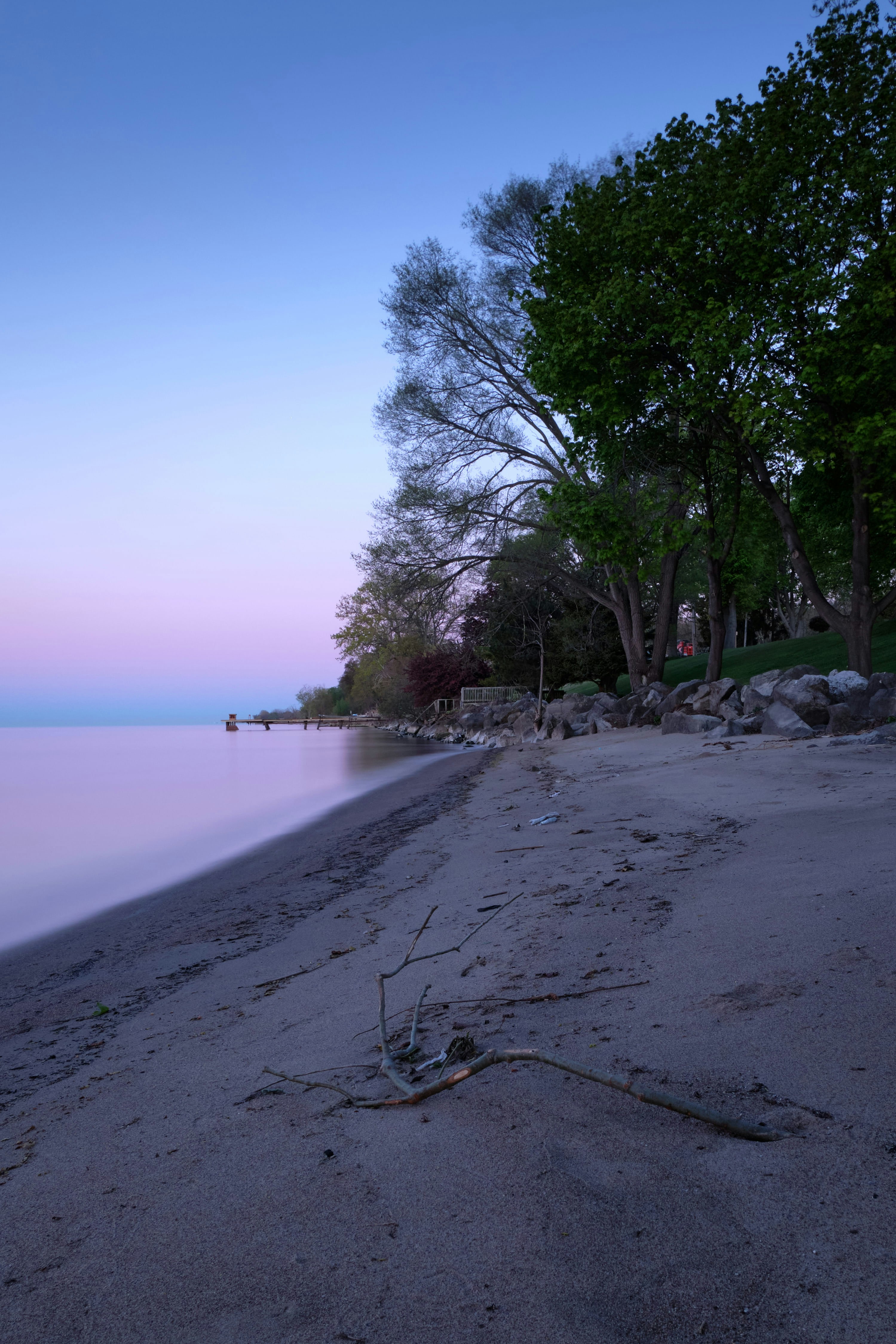 Twilight Shore: Calm Waves and Quiet Trees