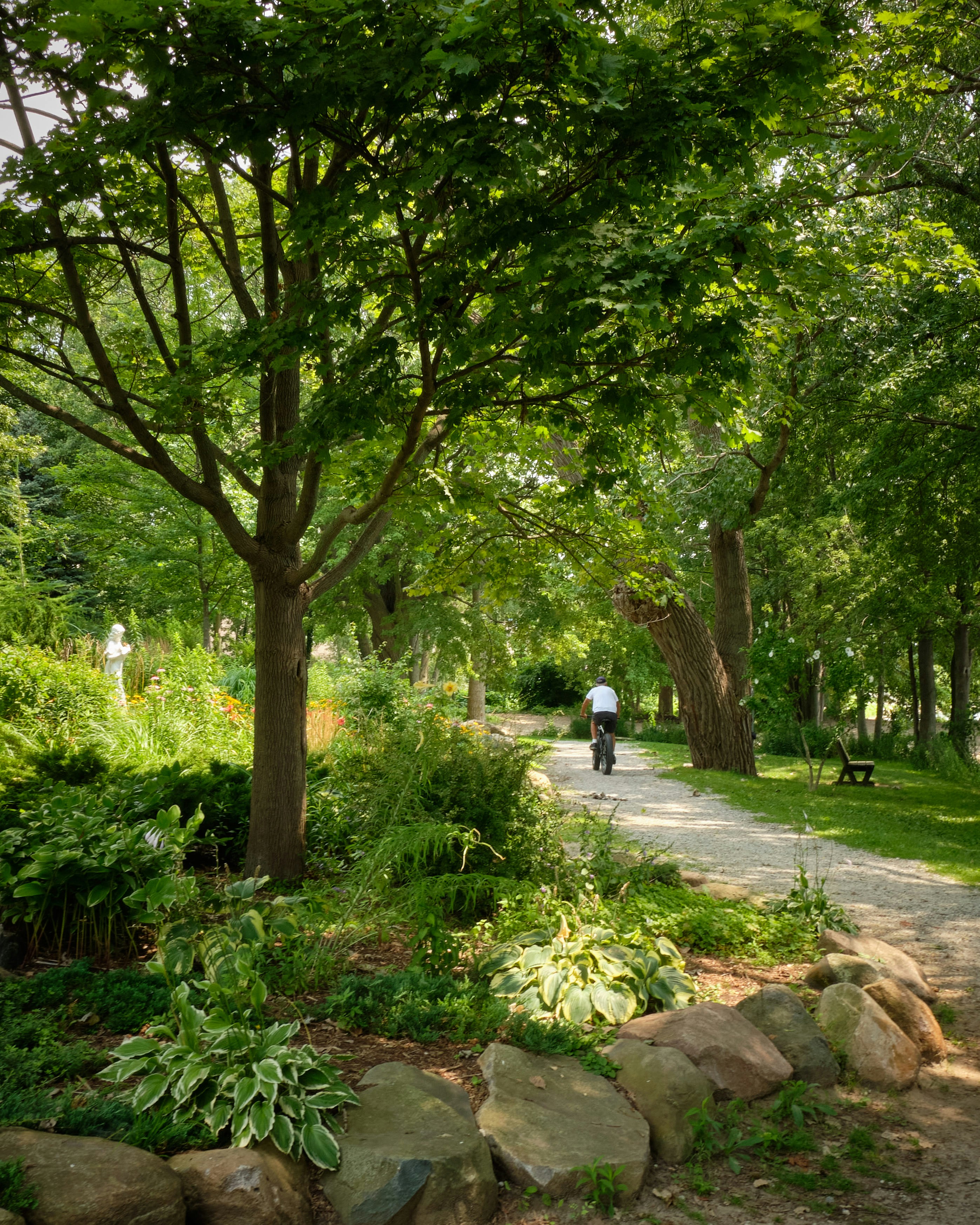 Leafy Pathway Rendezvous