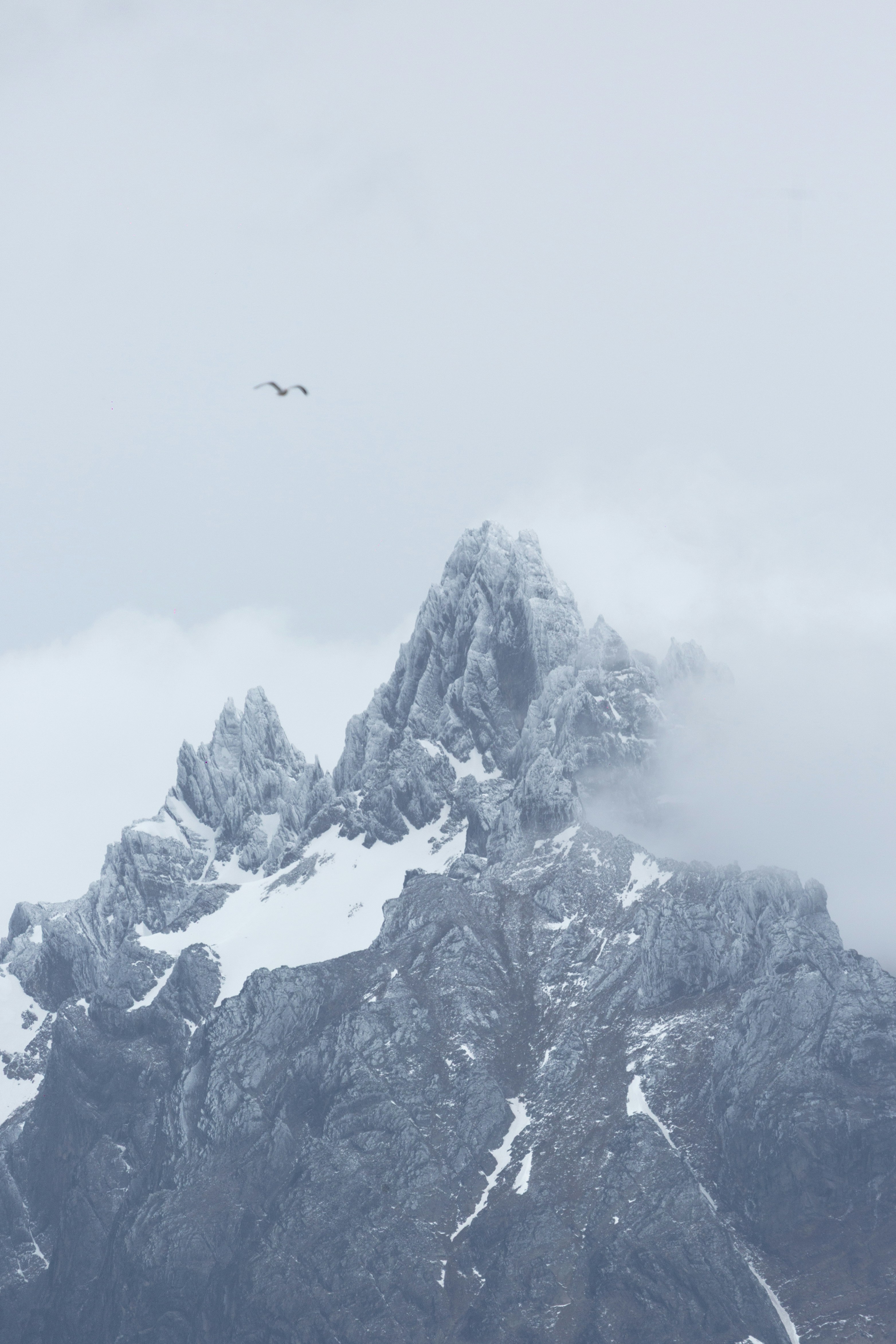 A lone bird over jagged, snow-kissed peaks
