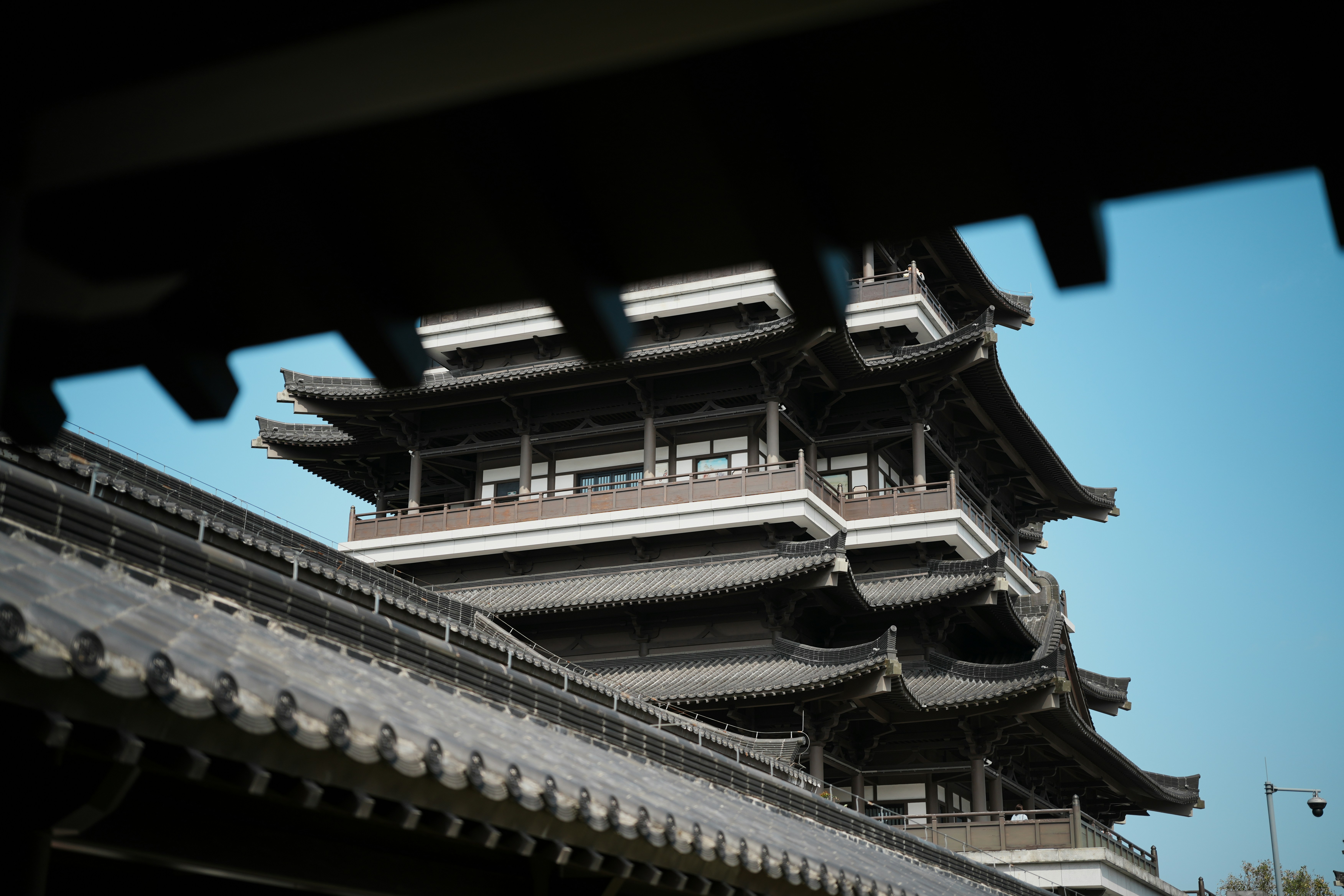 Layered eaves and roofs: a pagoda peeking through shadows