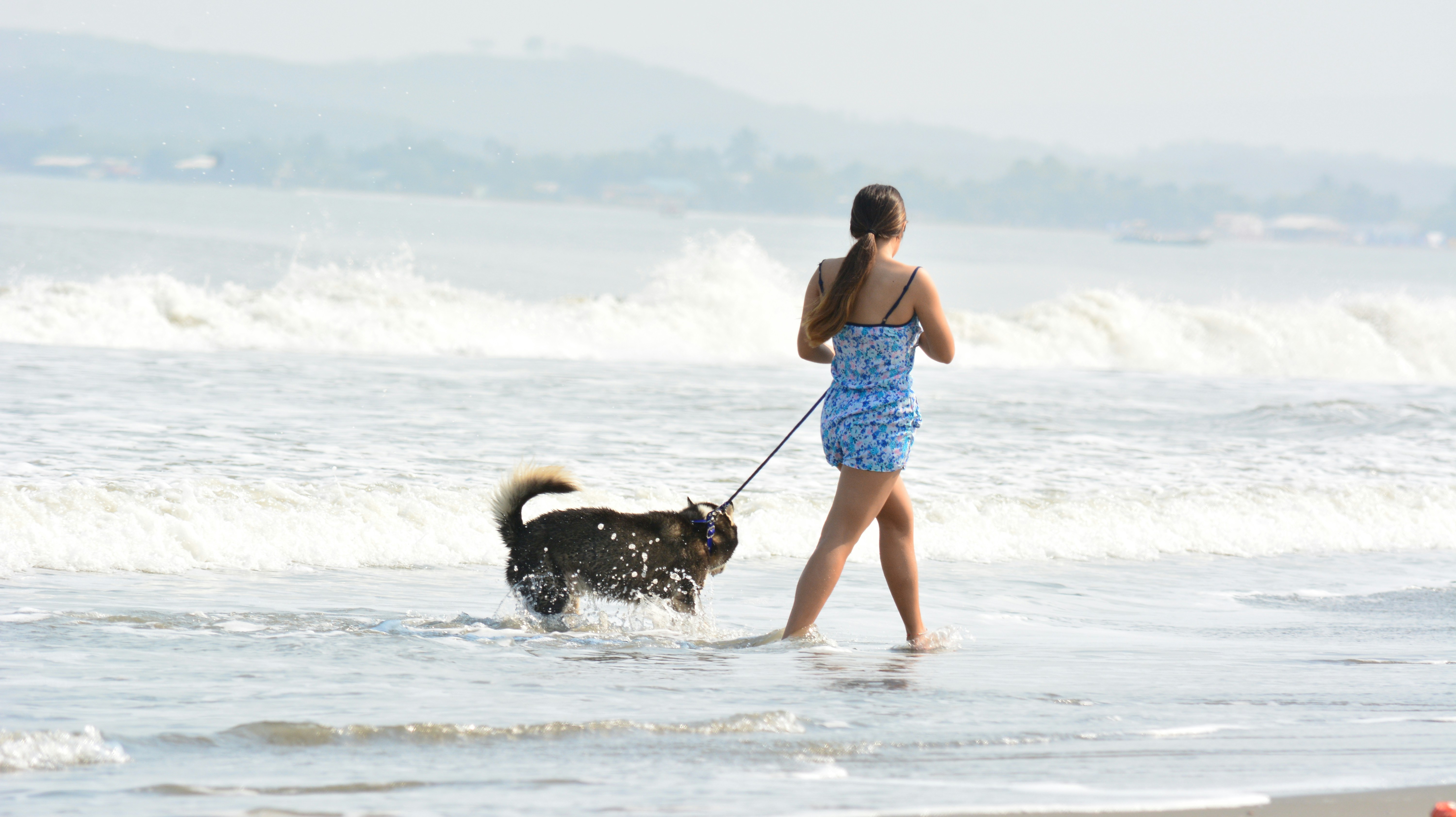Lone swimmer guides a loyal companion along the shoreline