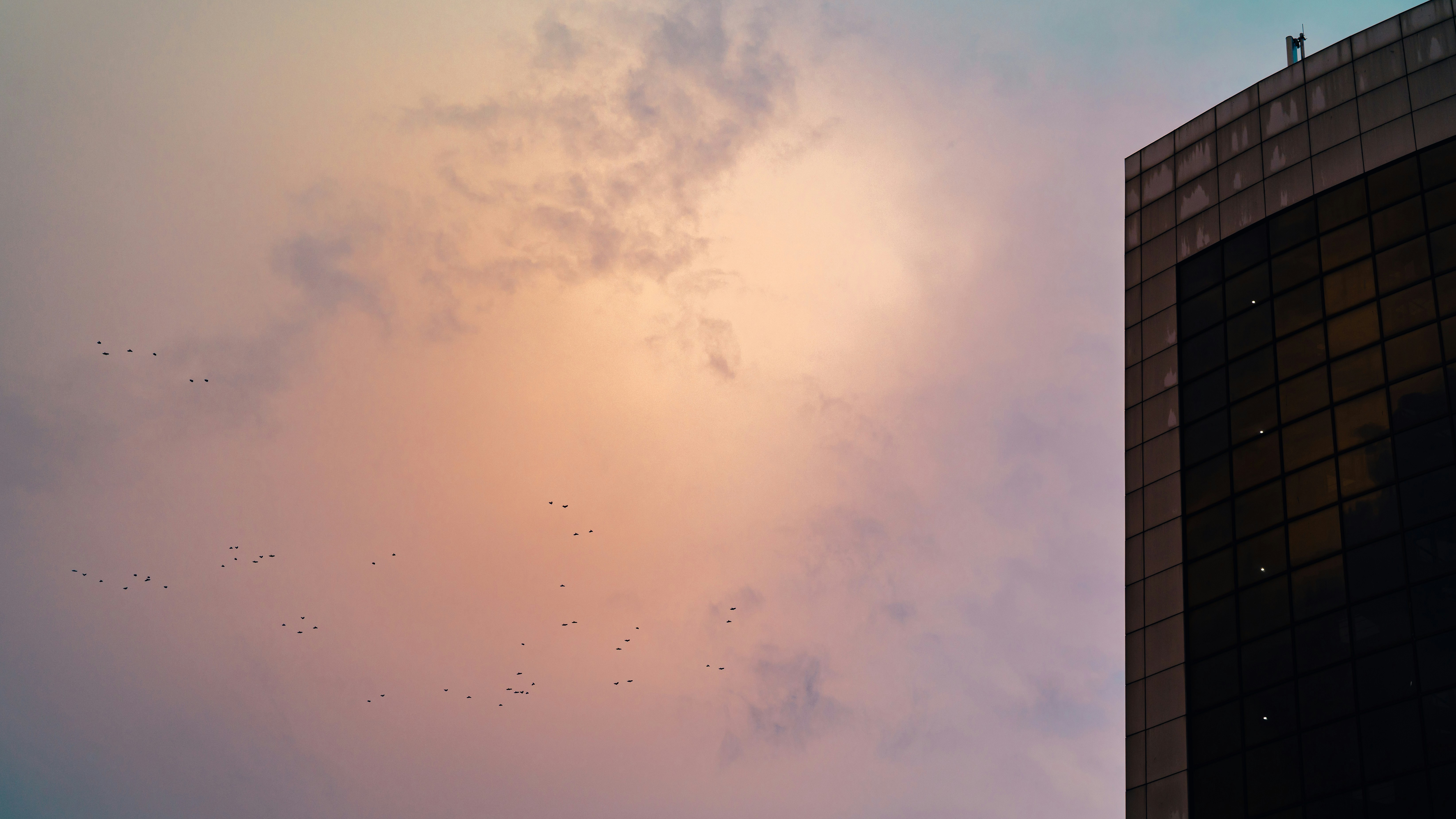 Soft Skies Over a Modern Facade at Dusk