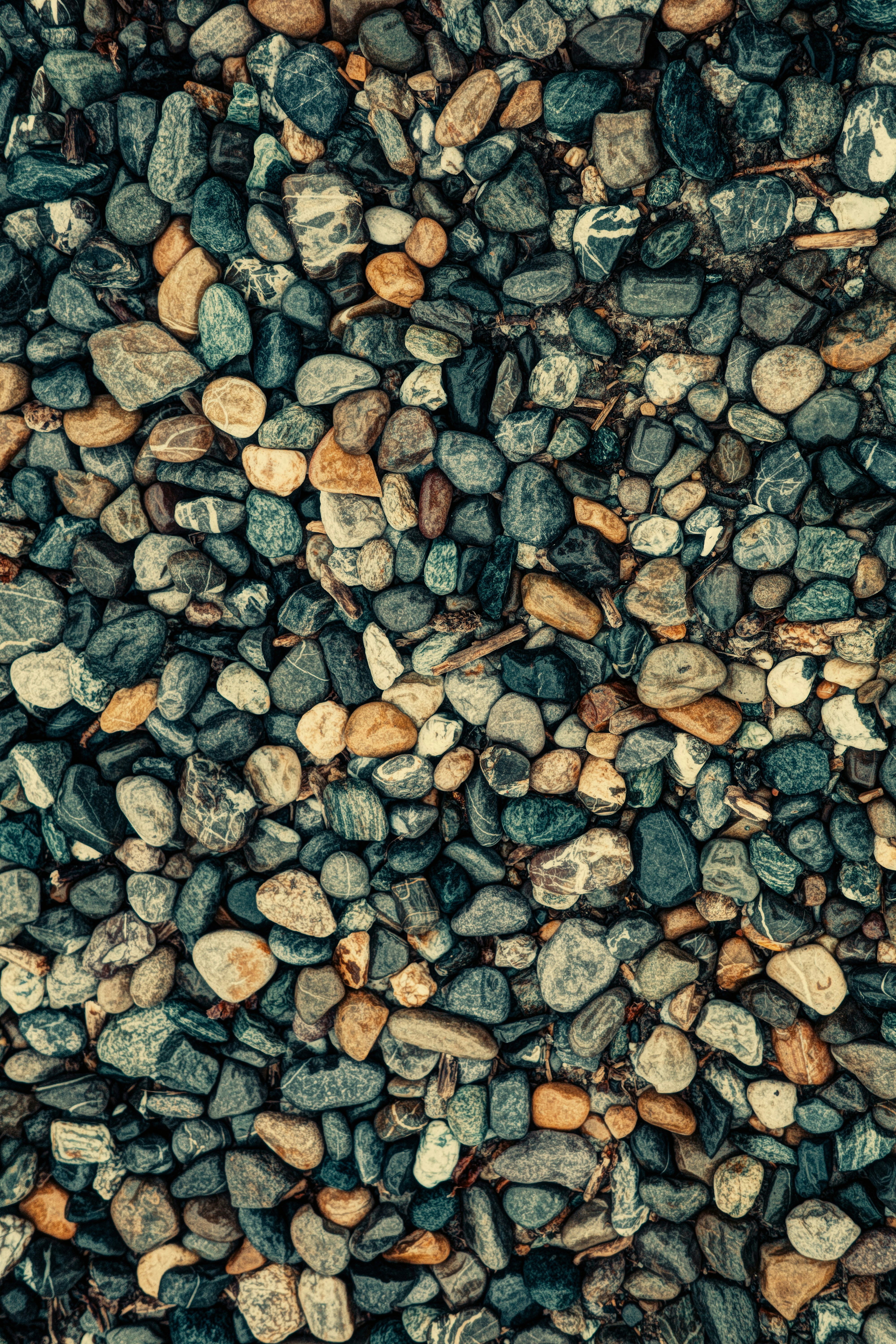 Pebble Mosaic: A Quiet Bed of Stones in Autumn Hues