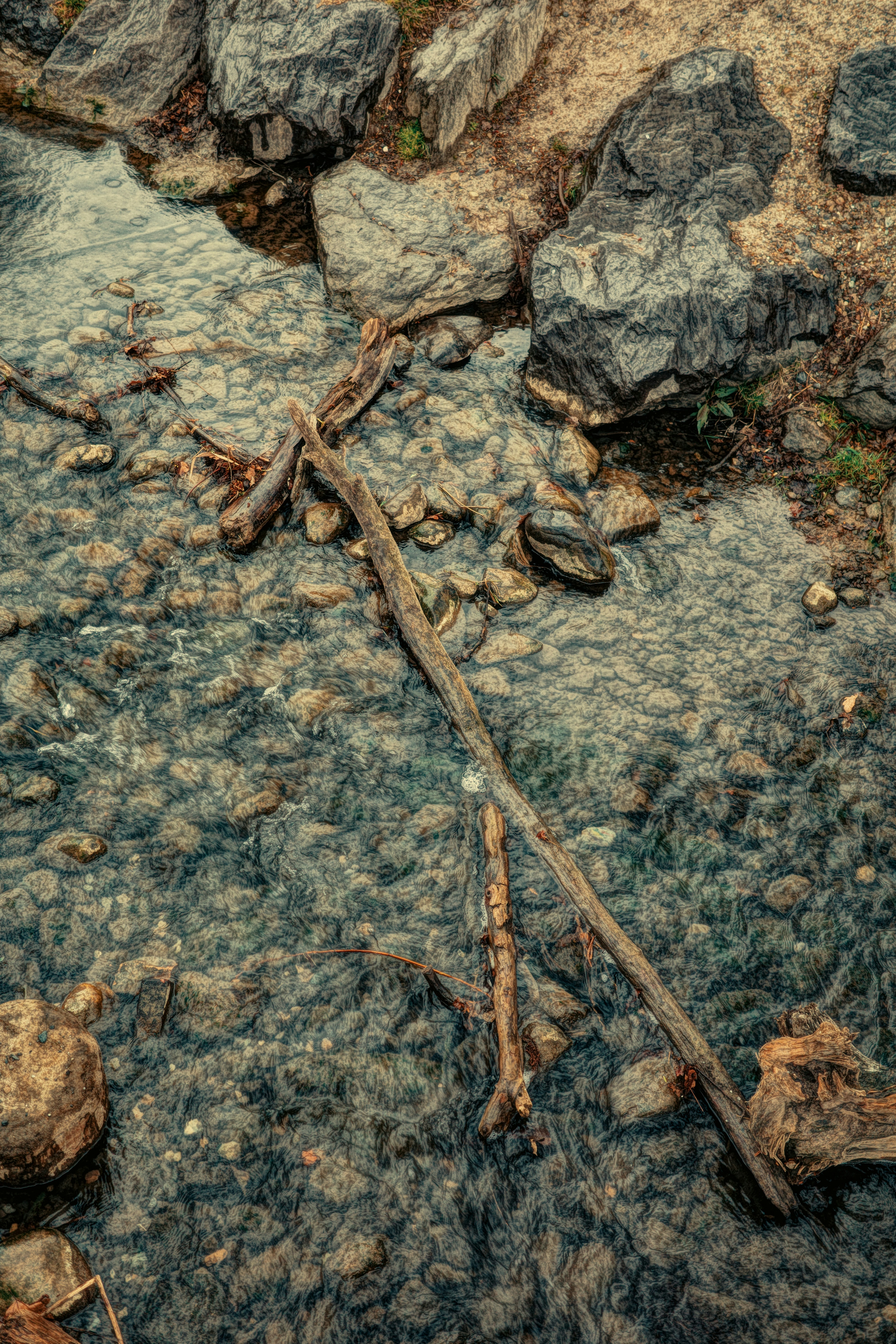 Driftwood Crossing: A Quiet Stream Threaded with Stones
