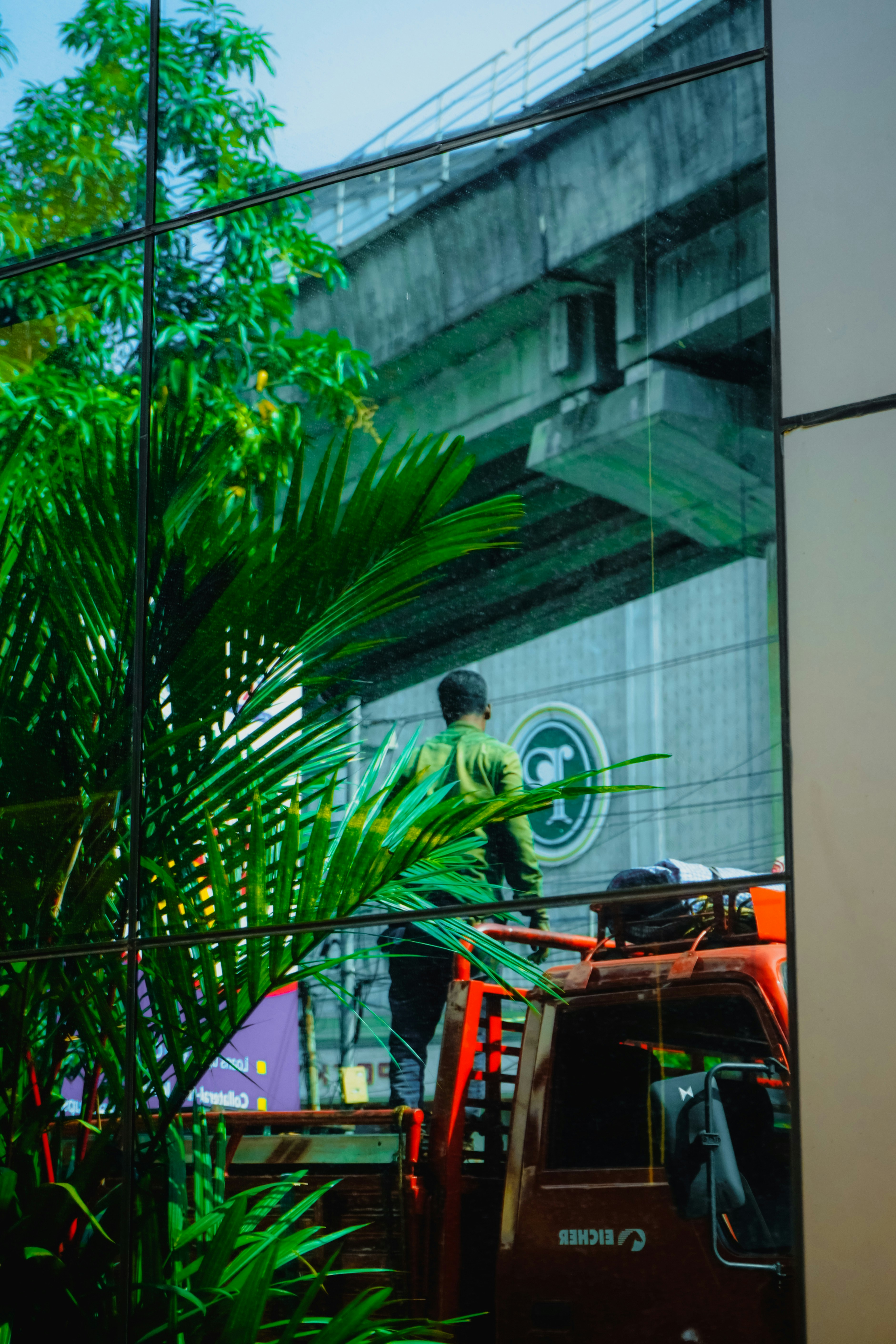 Glass Facade Reflections: Urban Green Against Concrete