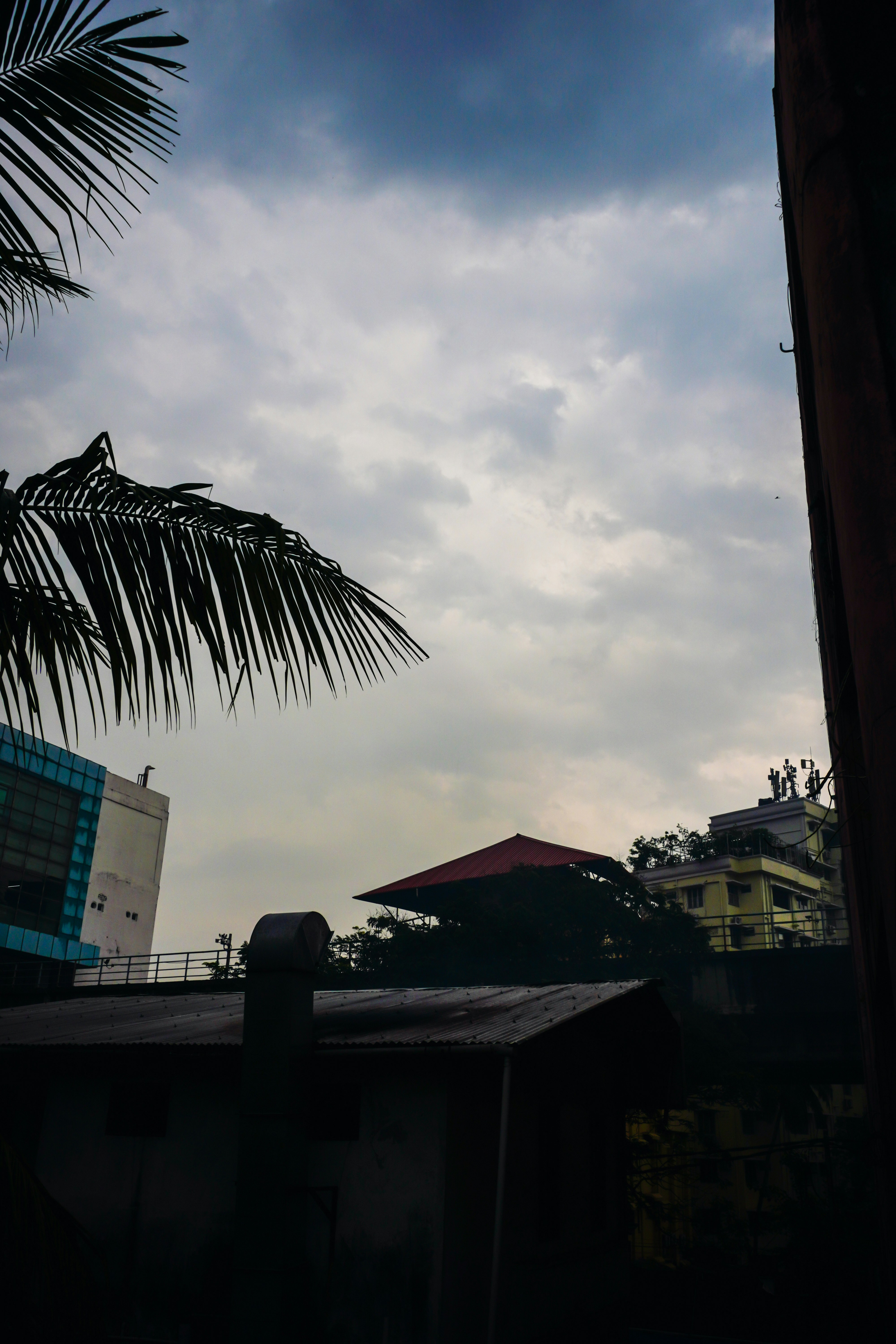 Evening Sky Over a Quiet Rooftop Scene