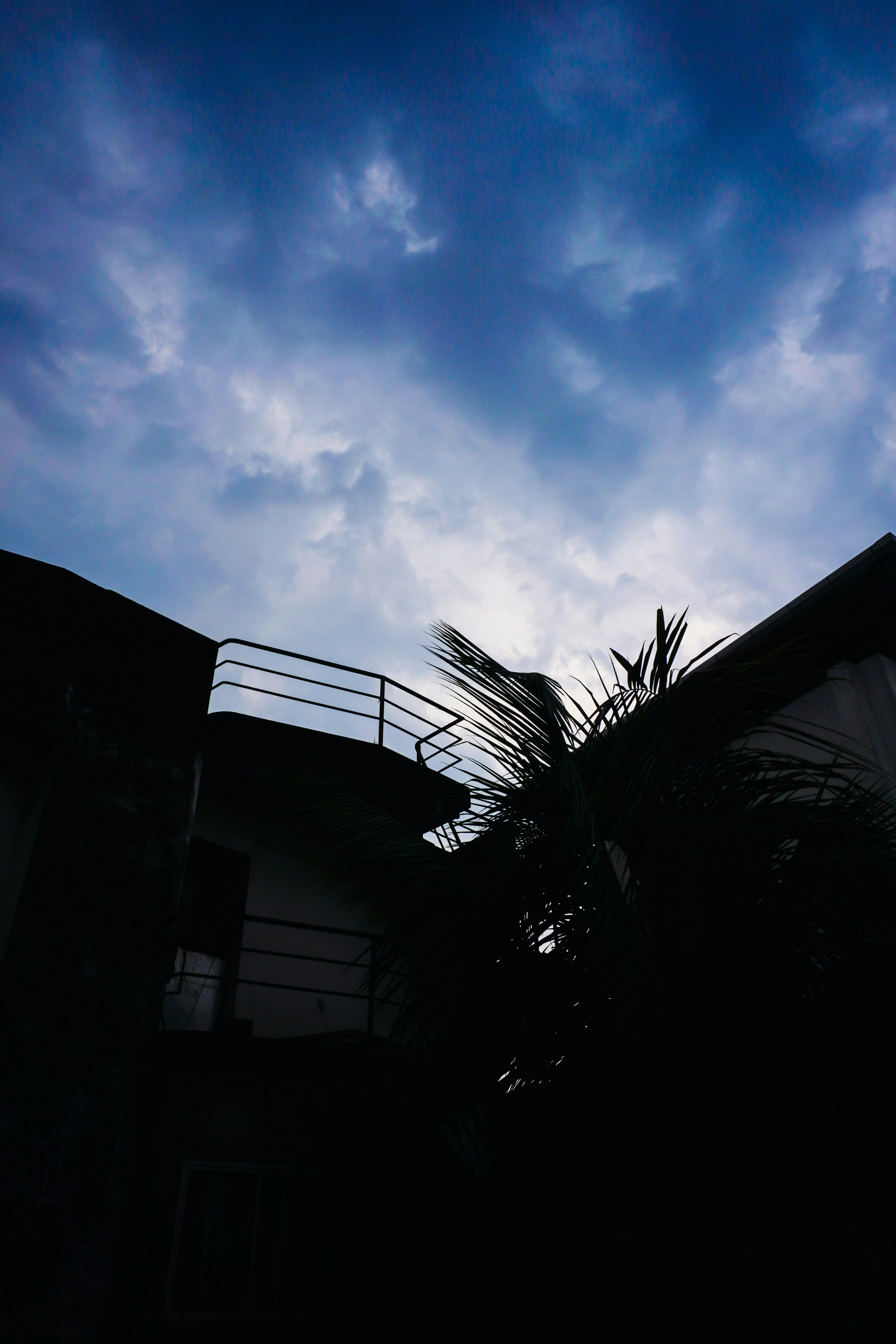 Silhouetted Terrace and Palm Against a Skylit Crown