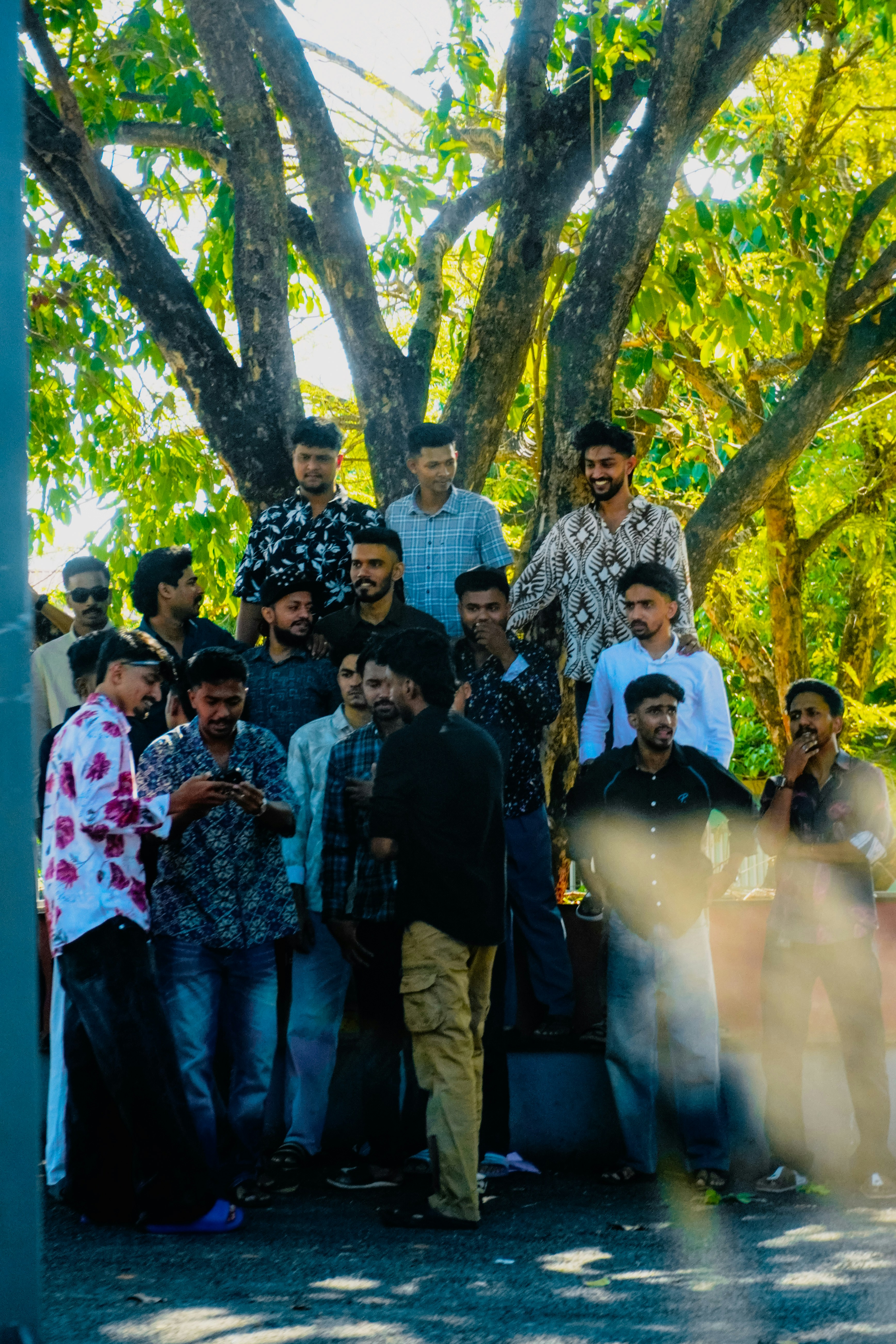 Gathered Under the Tree: A Portrait of Togetherness