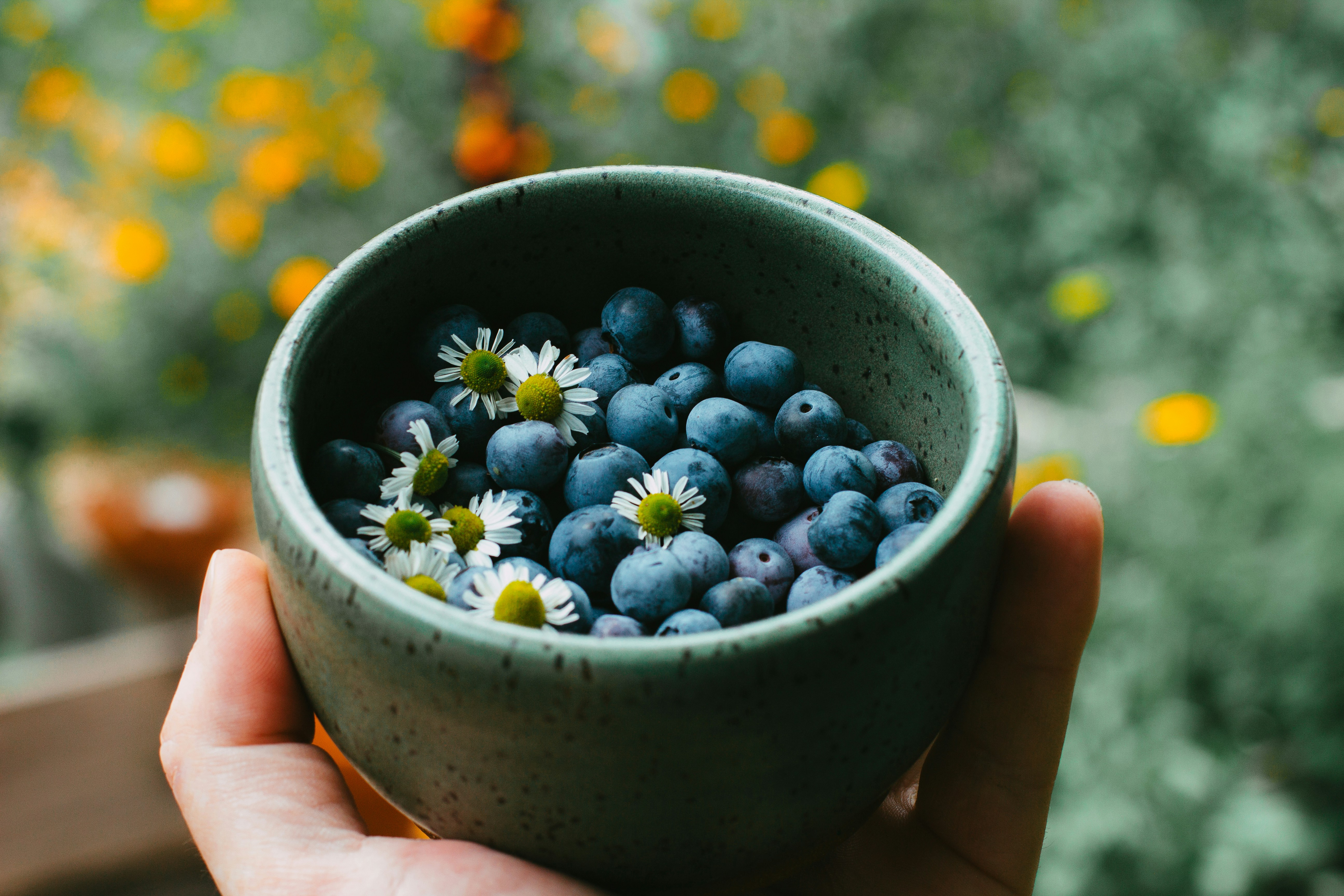 Blueberry Lap of Daisies: A Green Cup Cradles Fresh Harvest