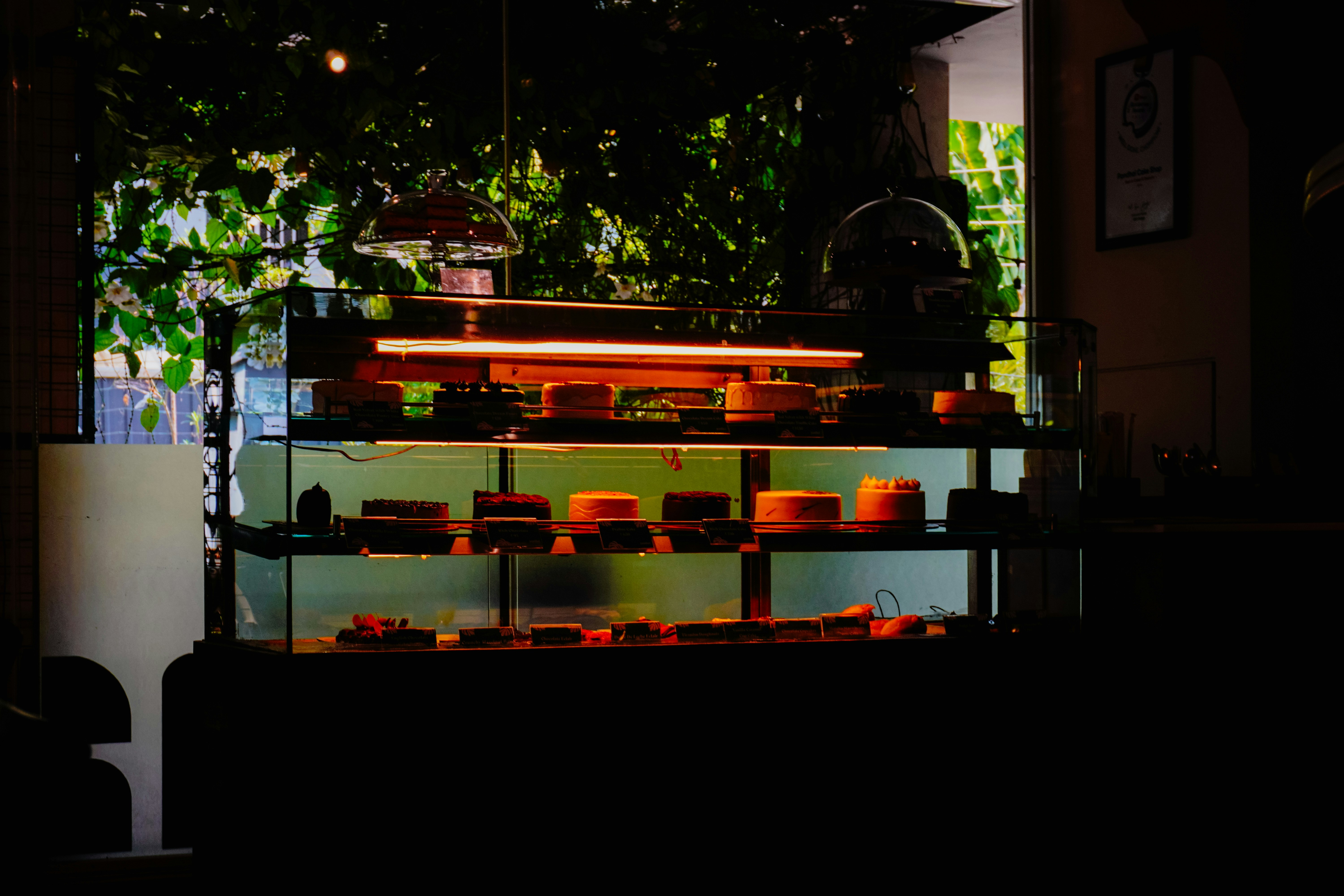 Warm glow over pastry display: a quiet bakery scene